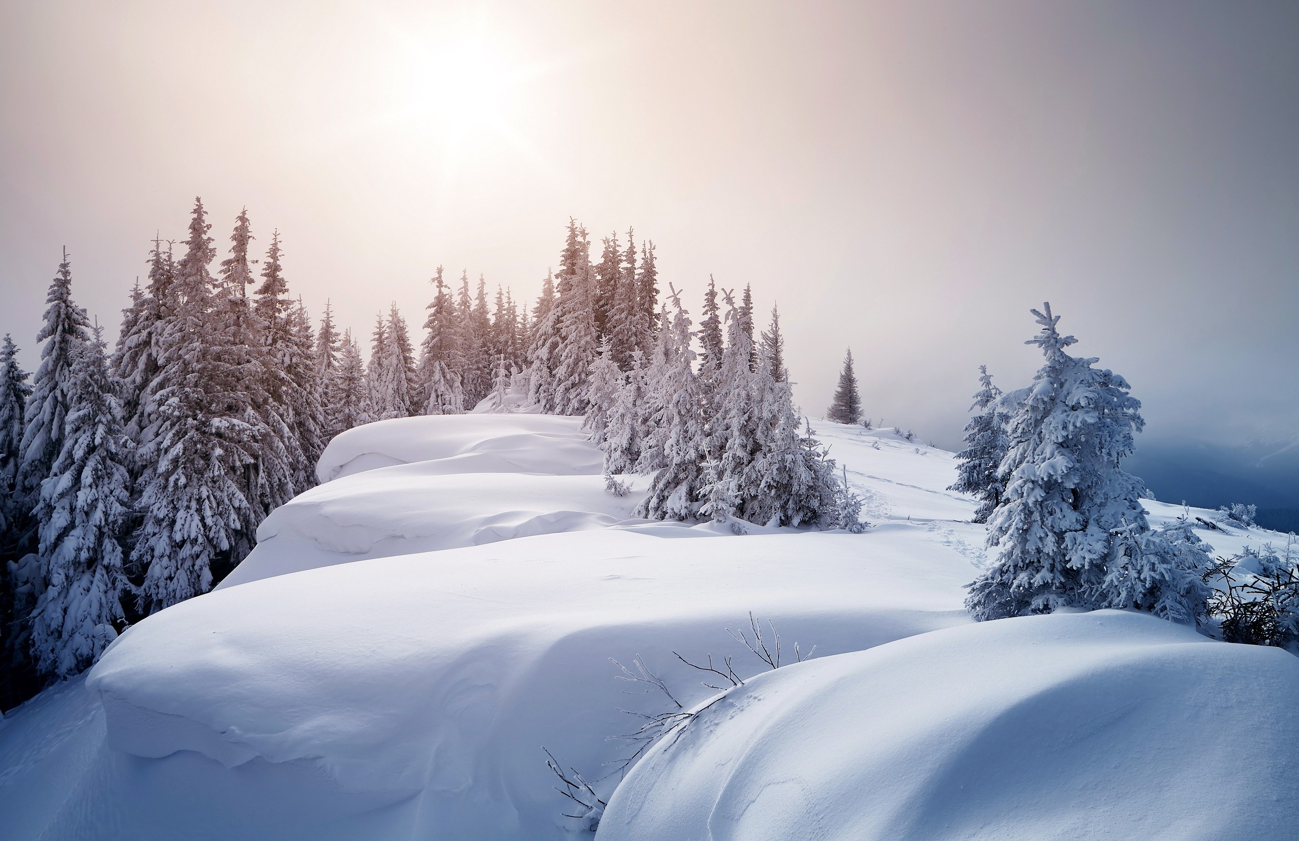 Snow Ice Trees Landscape Winter Wallpapers HD Desktop And Mobile