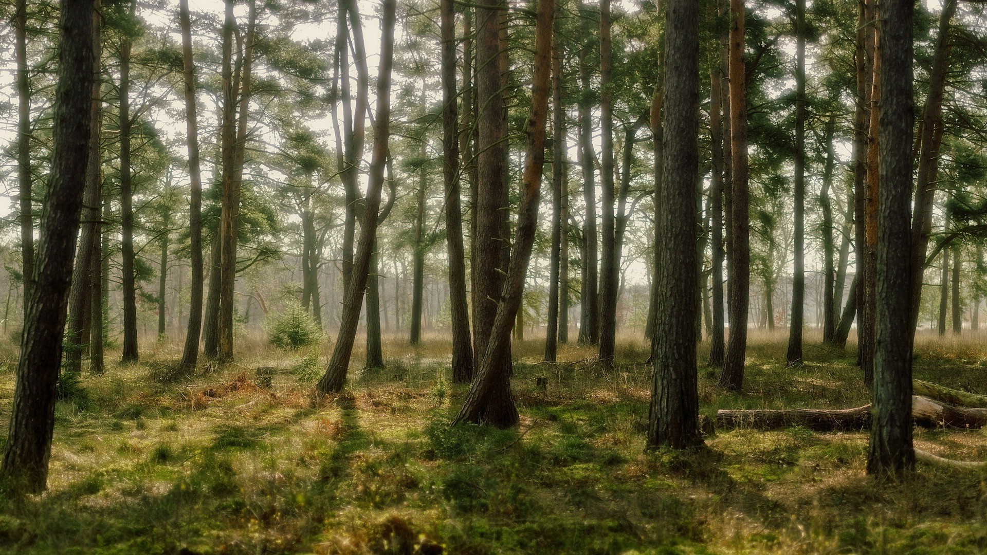 nature, Landscape Wallpapers HD / Desktop and Mobile Backgrounds