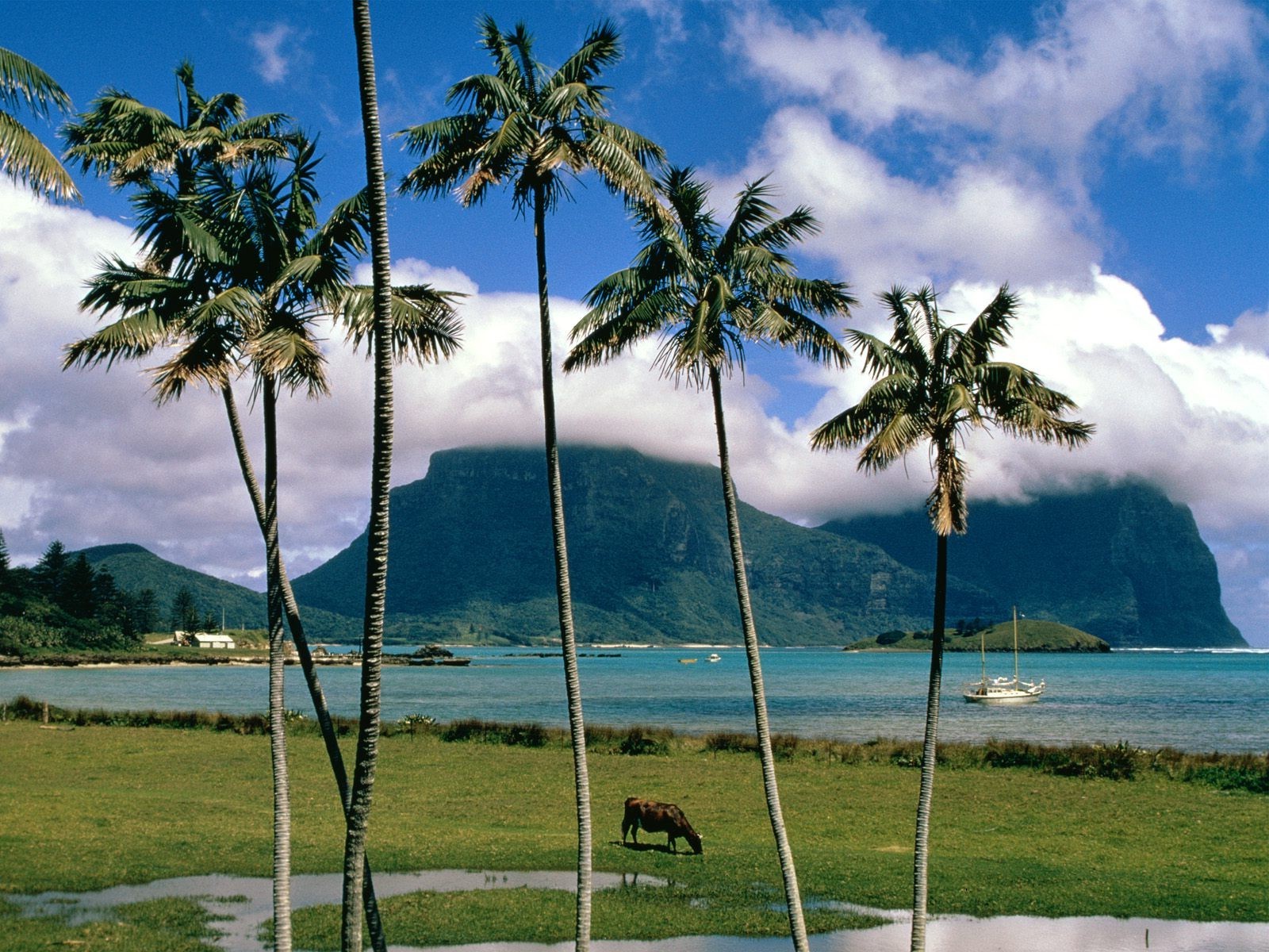 landscape Wallpapers HD / Desktop and Mobile Backgrounds