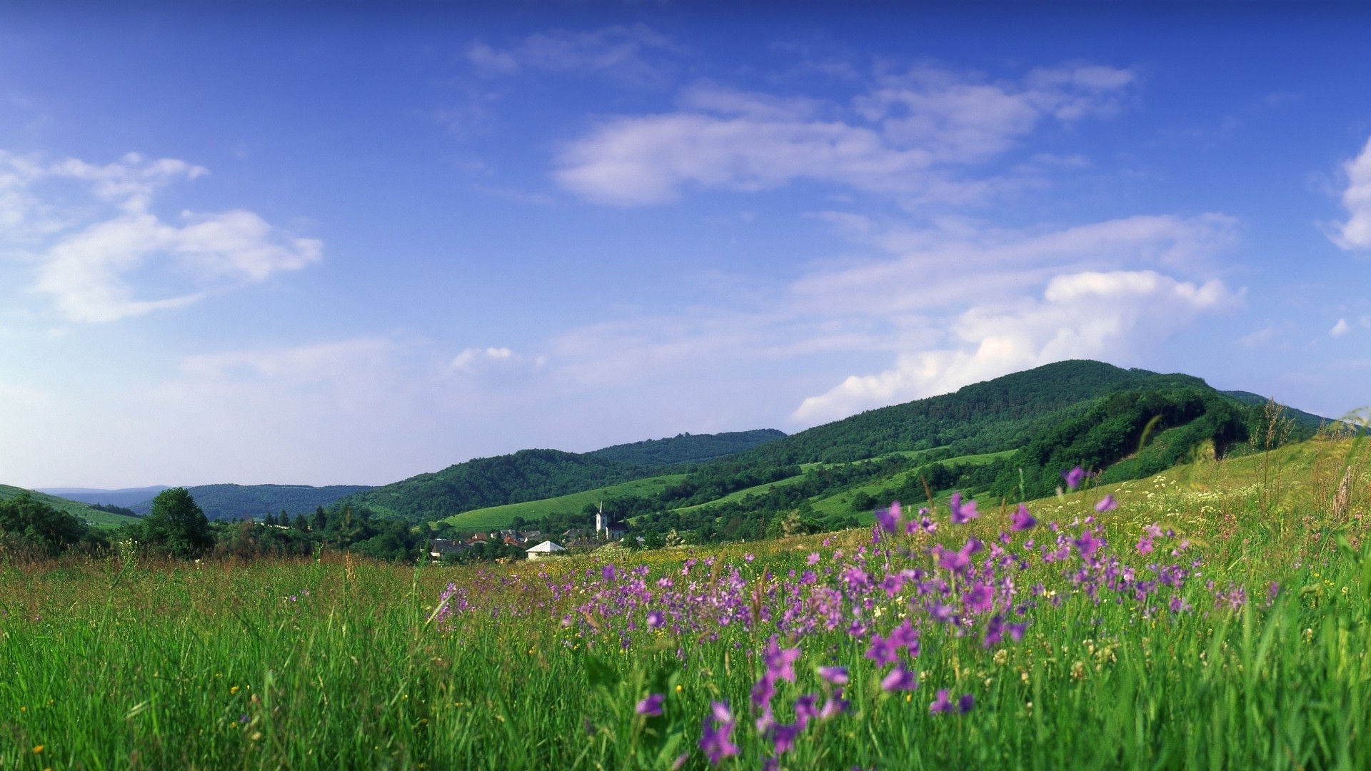 nature, Landscape Wallpapers HD / Desktop and Mobile Backgrounds