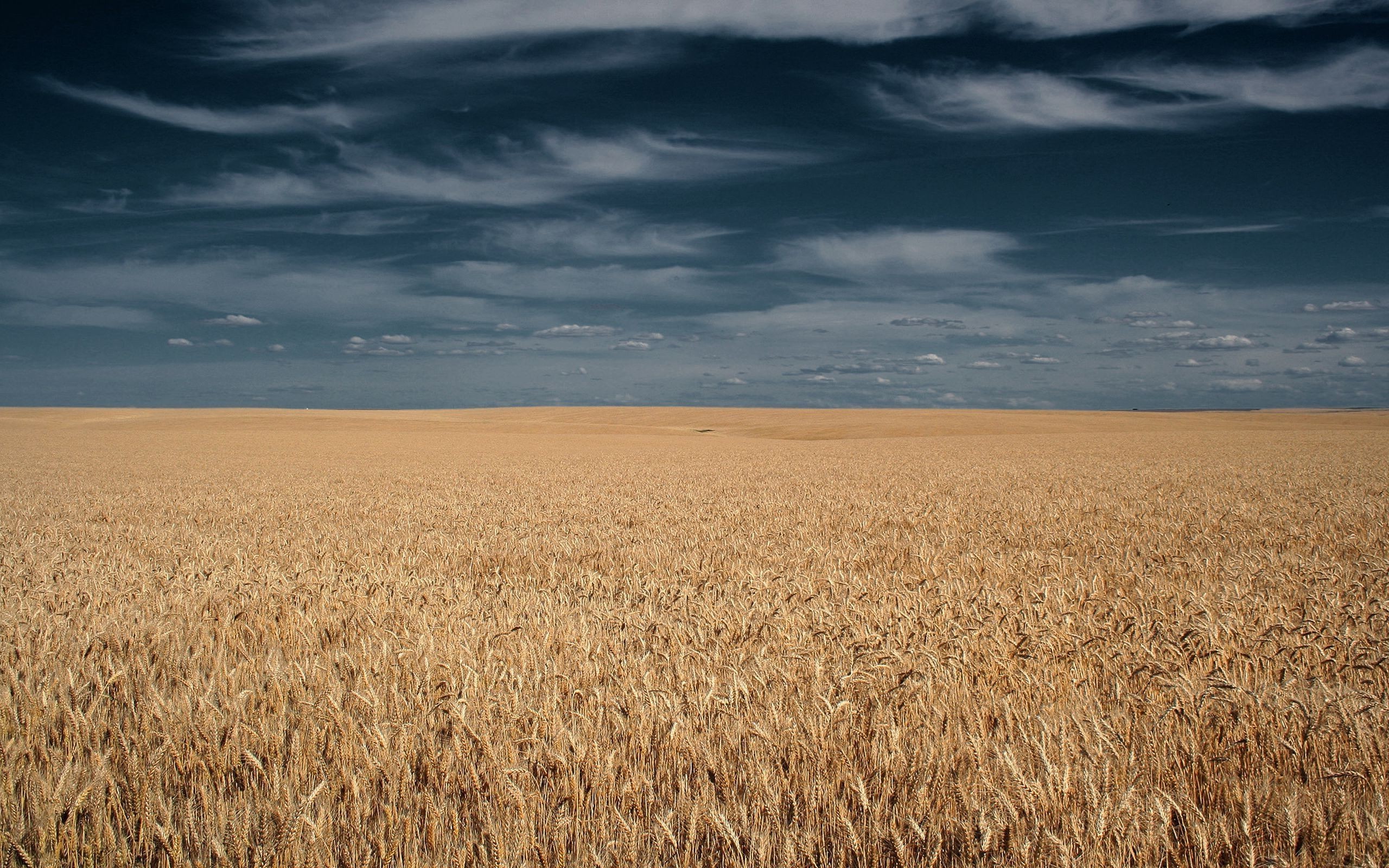 nature, Landscape Wallpapers HD / Desktop and Mobile Backgrounds