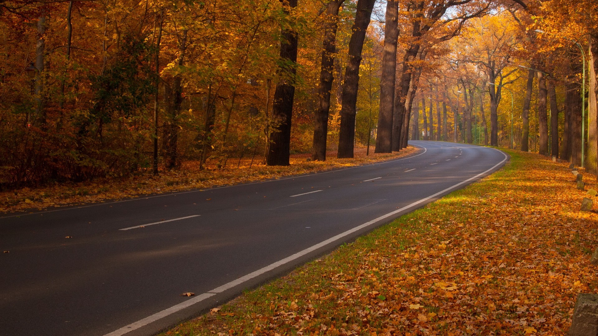 landscape, Road, Fall Wallpapers HD / Desktop and Mobile Backgrounds