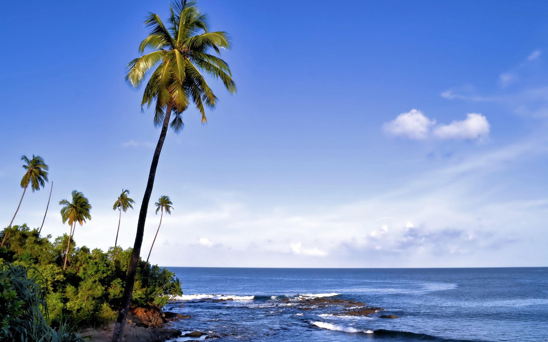 nature, Landscape, Palm Trees, Island, Coast Wallpapers HD / Desktop ...