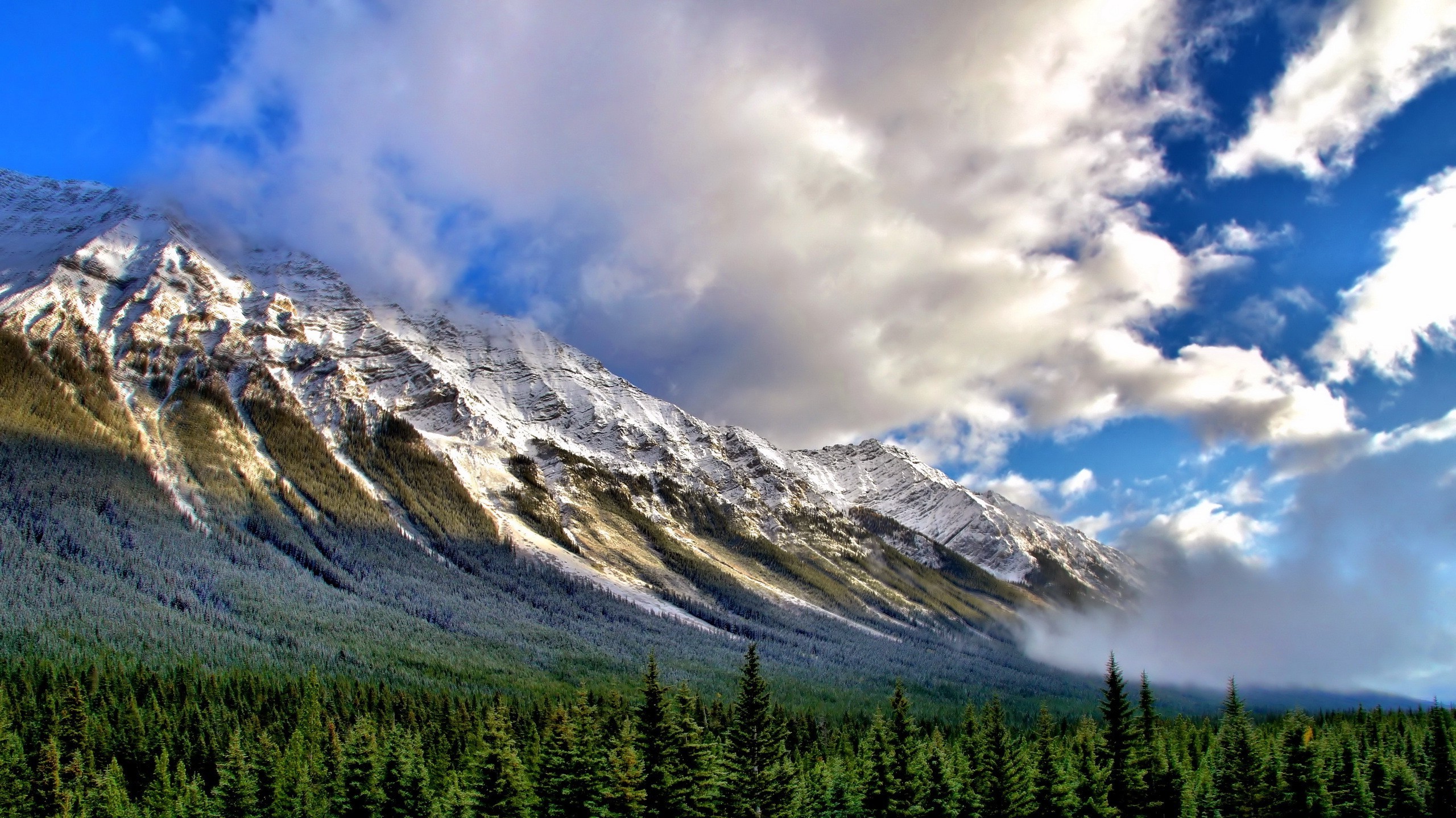 nature, Landscape, Mountain, Forest Wallpapers HD / Desktop and Mobile ...