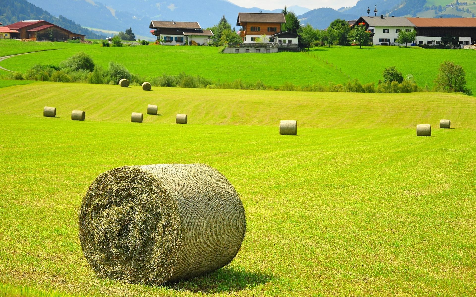 nature, Landscape, Hay, Field, Haystacks, Austria, Grass, House, Hill ...