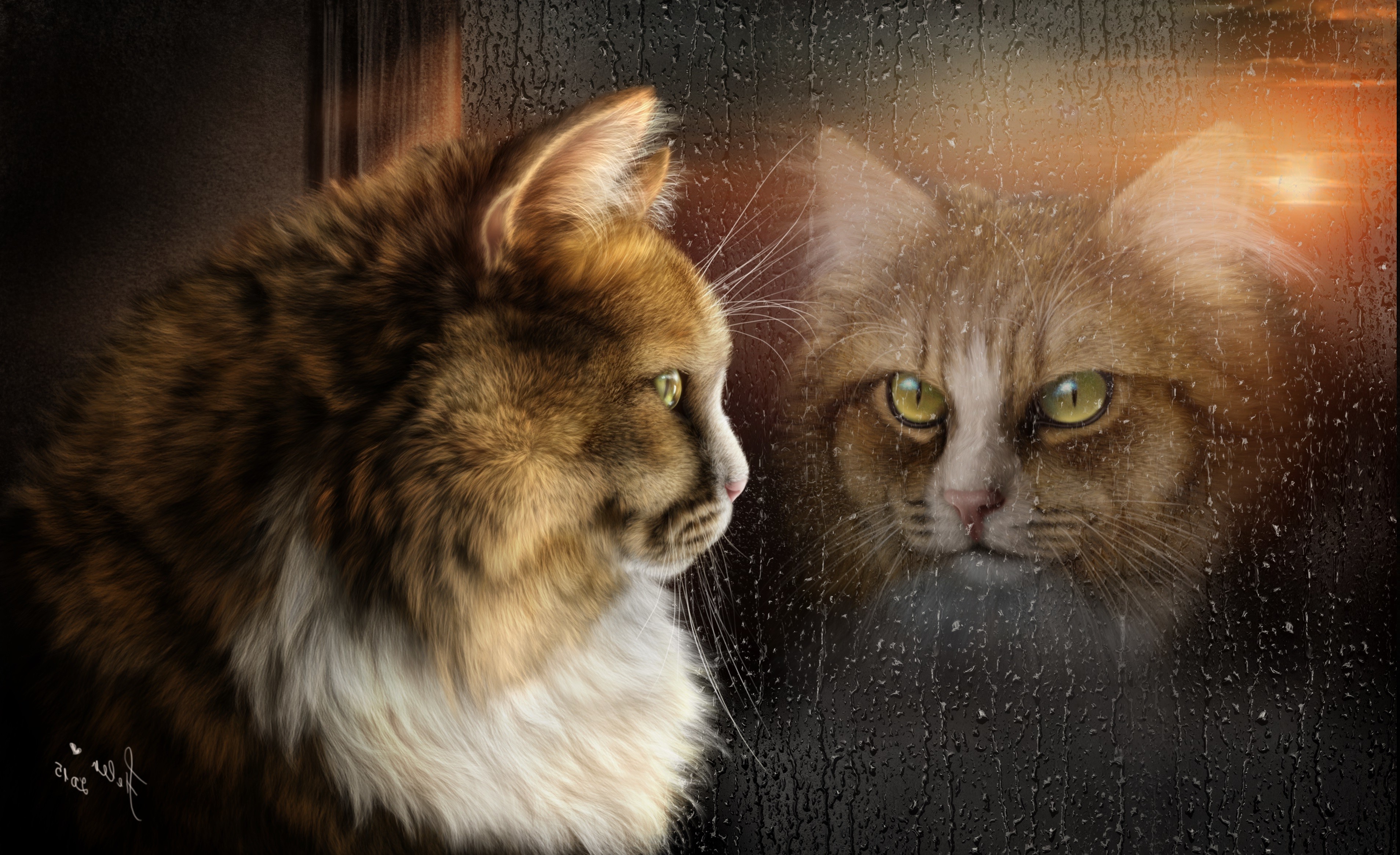 animals, Cat, Render Wallpapers HD / Desktop and Mobile Backgrounds