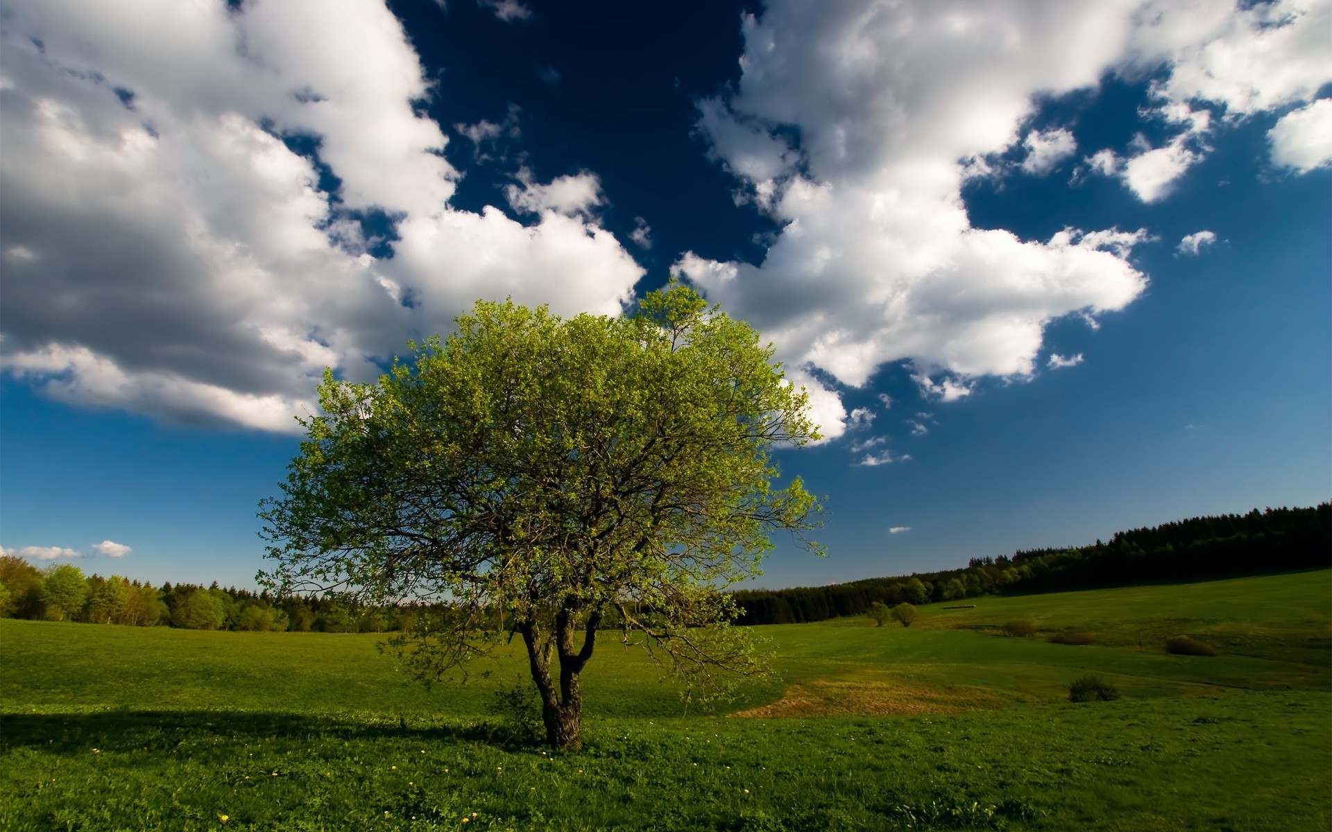 landscape Wallpapers HD / Desktop and Mobile Backgrounds