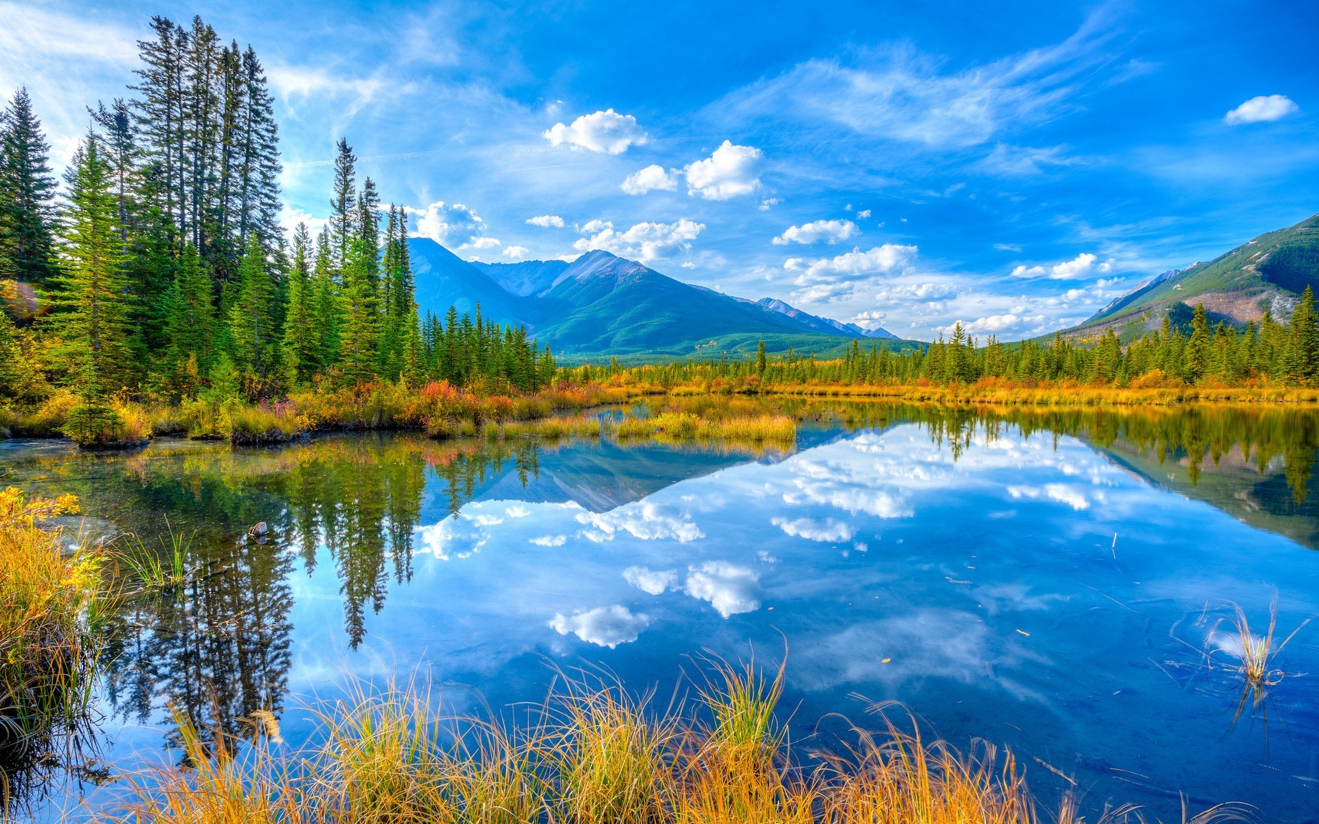 Nature Nature