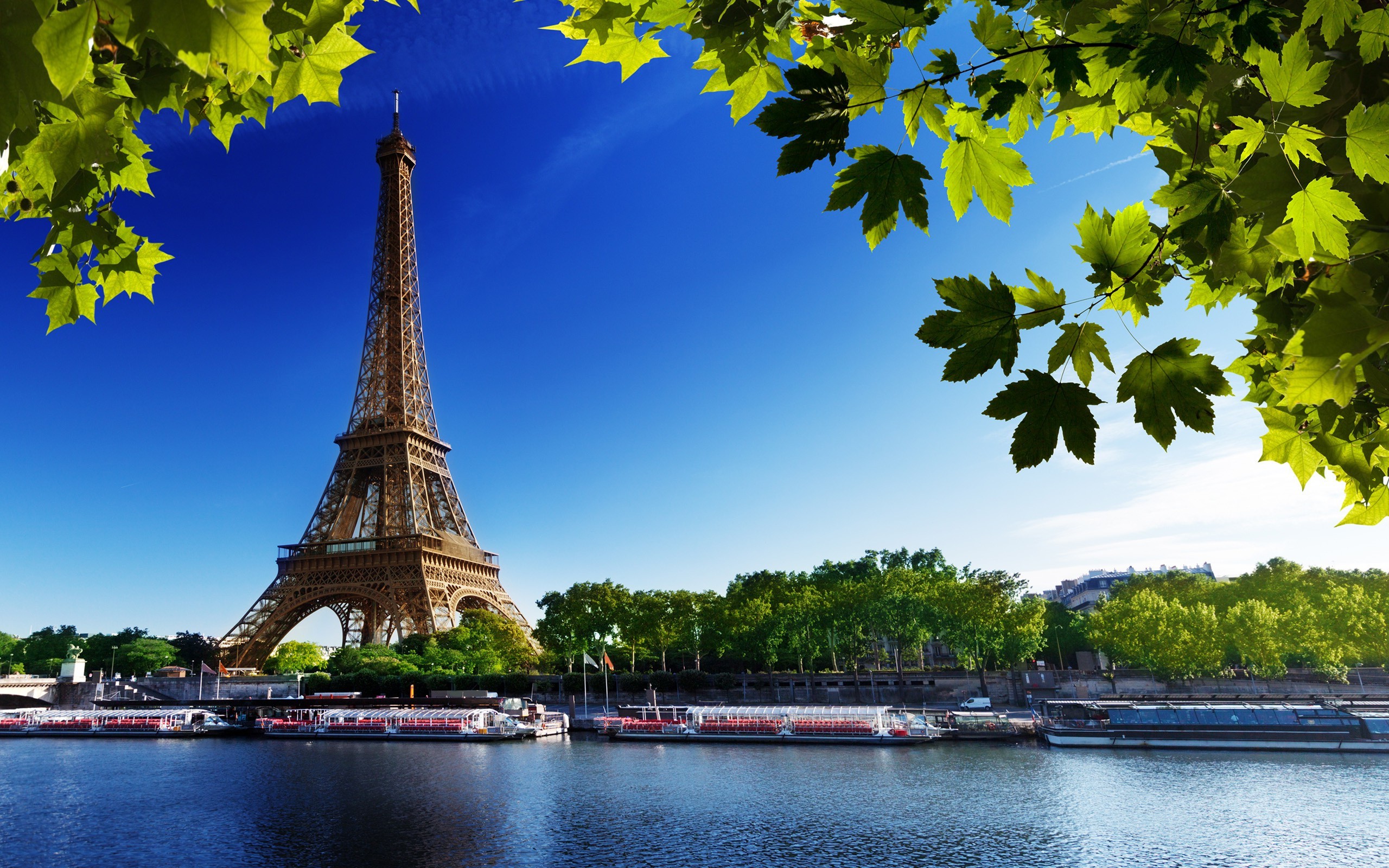 Cityscape France Paris River Leaves Eiffel Tower Wallpapers HD Cityscape France Paris River Leaves Eiffel Tower Wallpapers HD
