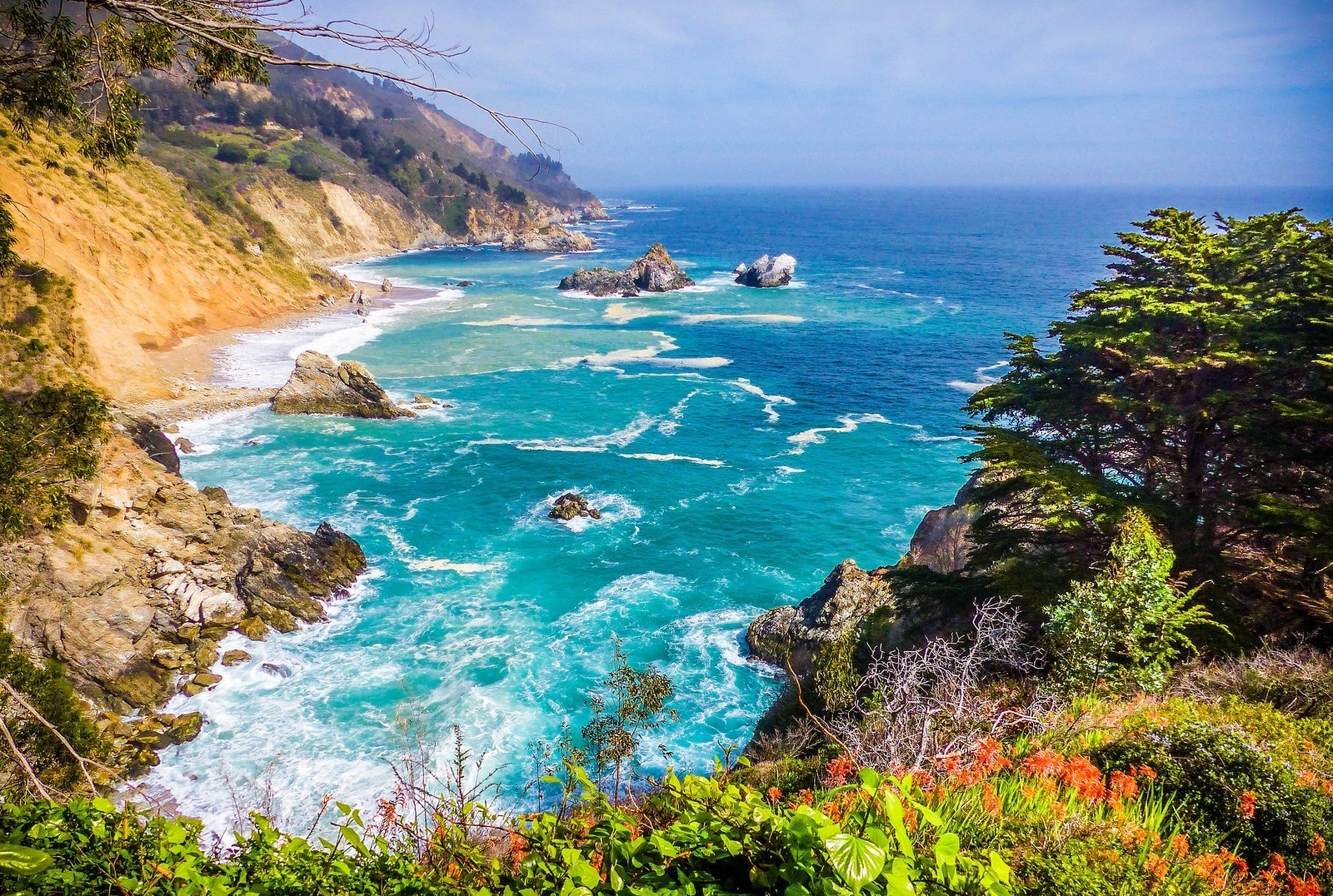 Nature Photography Landscape Sunlight Coast Beach Trees Shrubs Nature Photography Landscape Sunlight Coast Beach Trees Shrubs