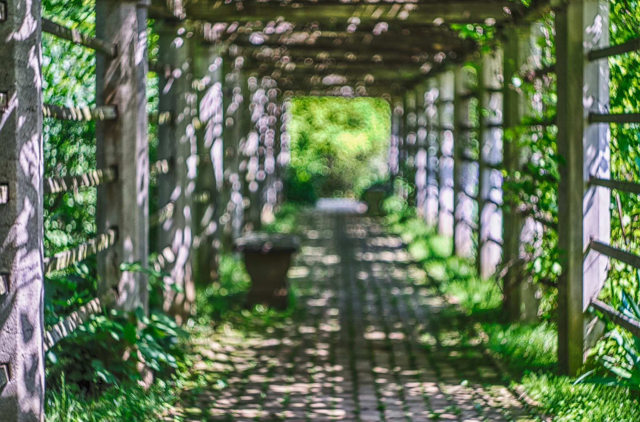landscape, Bokeh, Plants, Path, Gates Wallpapers HD / Desktop and ...