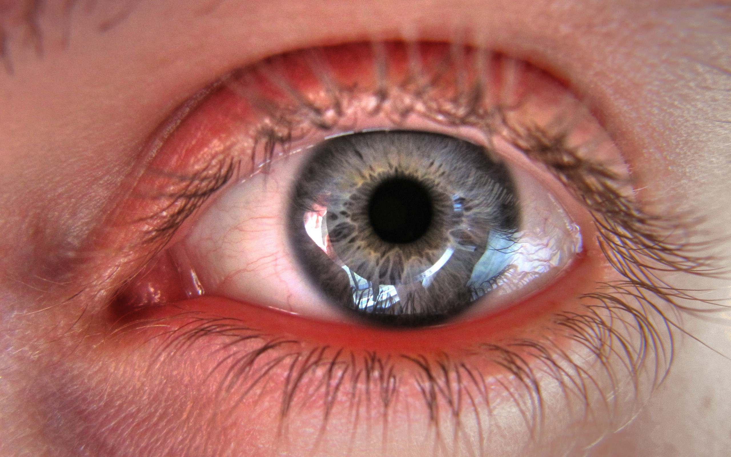 eyes Wallpapers HD / Desktop and Mobile Backgrounds