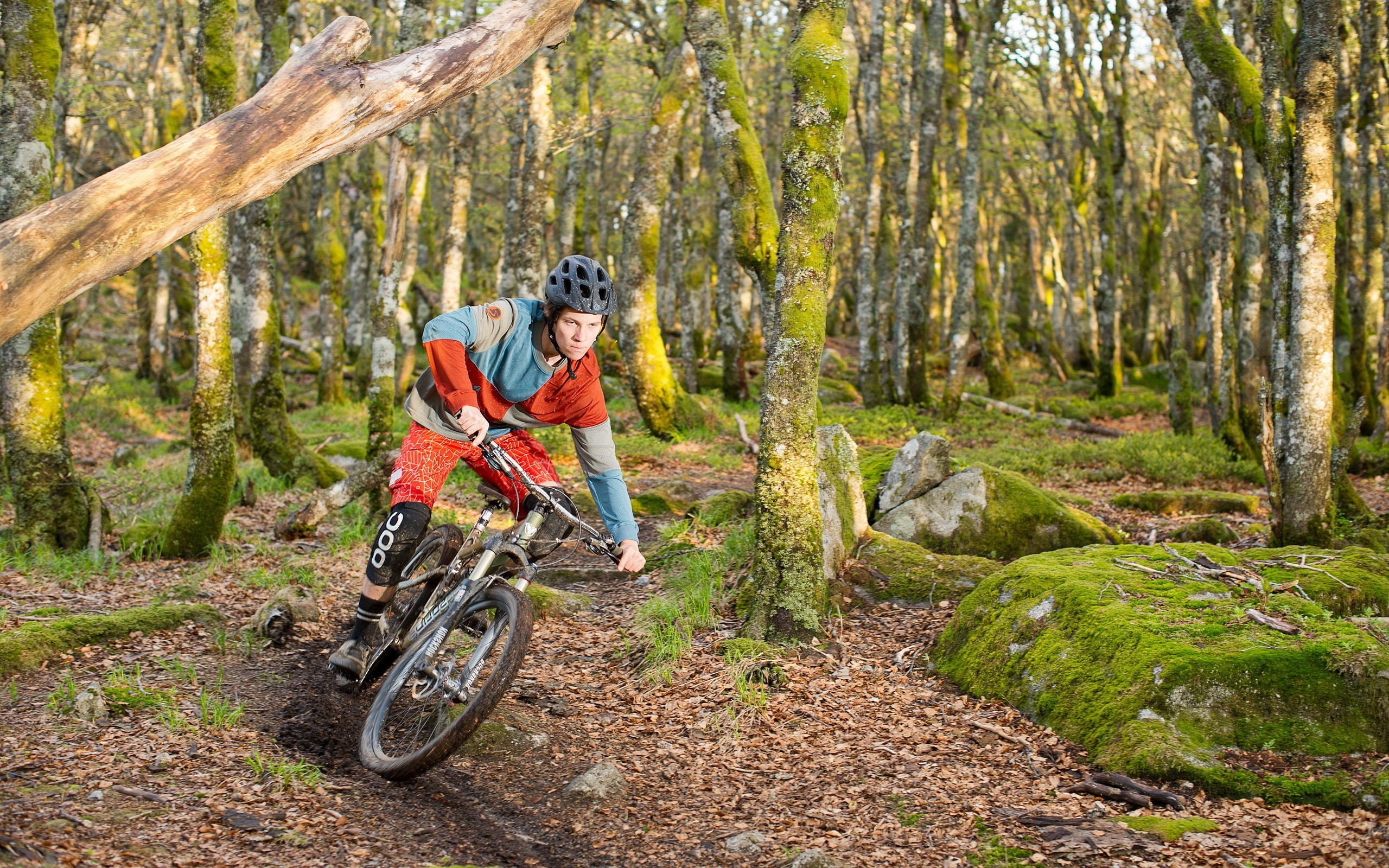 mountain Bikes Wallpapers HD / Desktop and Mobile Backgrounds