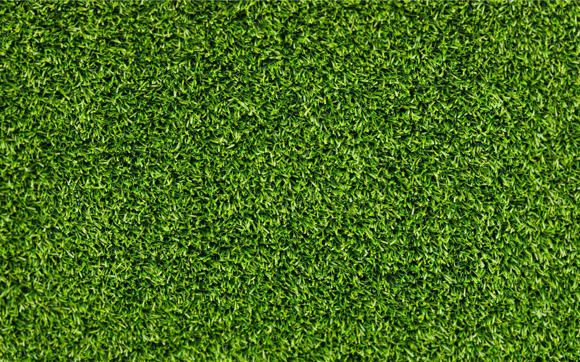 Grass Wallpapers Hd Desktop And Mobile Backgrounds