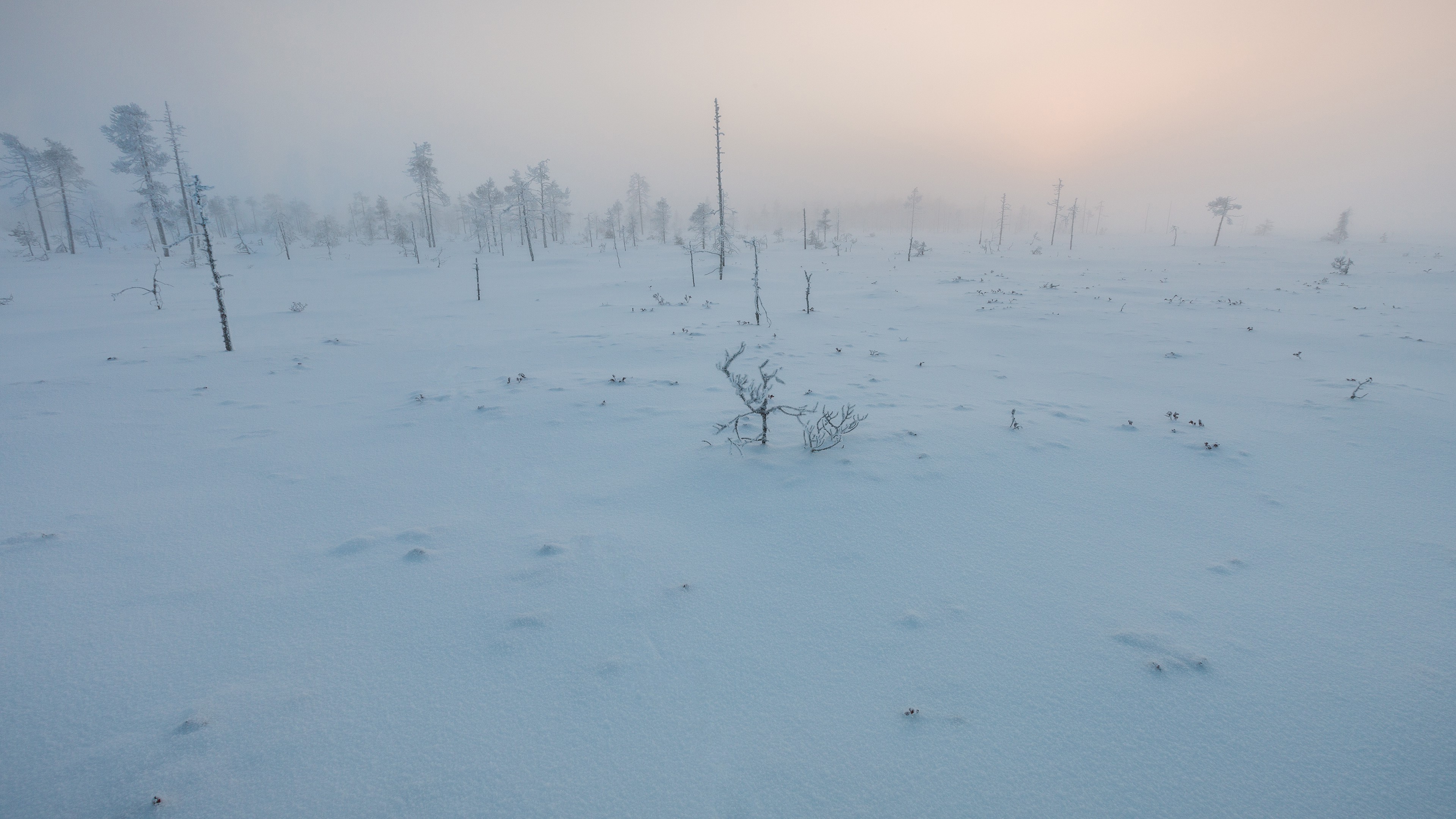 snow, Winter, Calm, Cold, Tundra Wallpapers HD / Desktop and Mobile ...