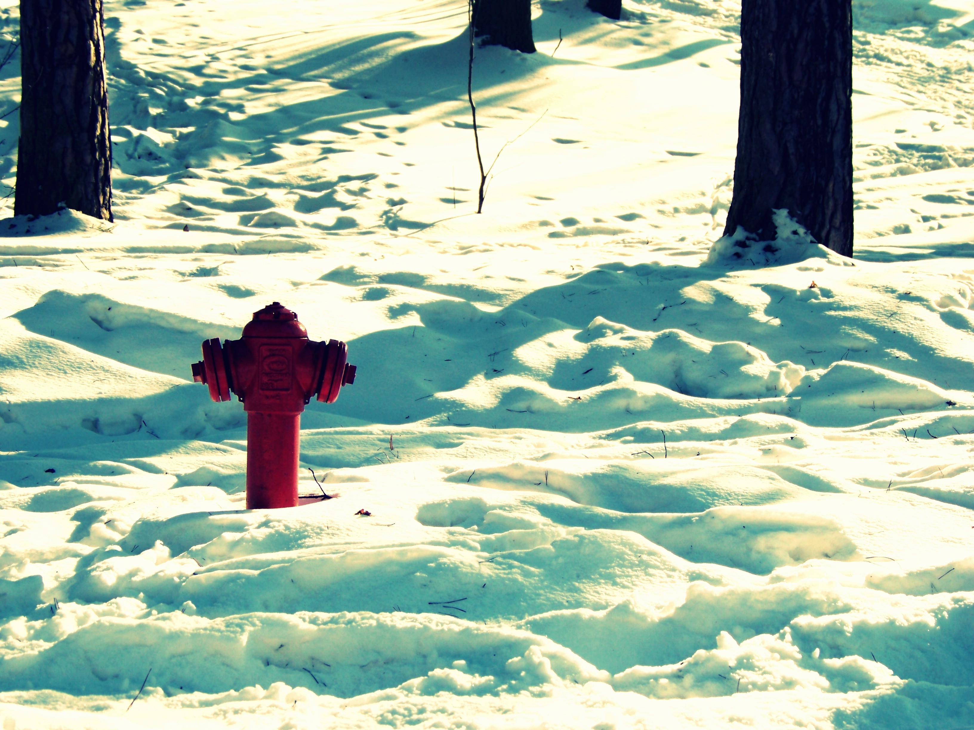 black and red, Winter Wallpapers HD / Desktop and Mobile Backgrounds