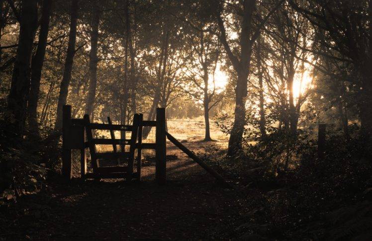 dark, Trees, Nature, Gates, Sunlight Wallpapers HD / Desktop and Mobile ...