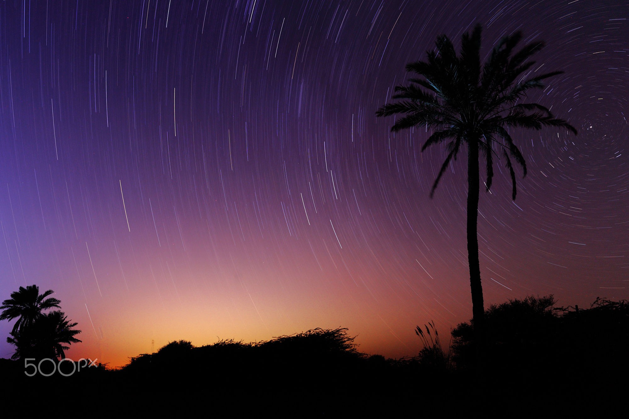 summer, Sky, Sunset, Trees Wallpapers HD / Desktop and Mobile Backgrounds