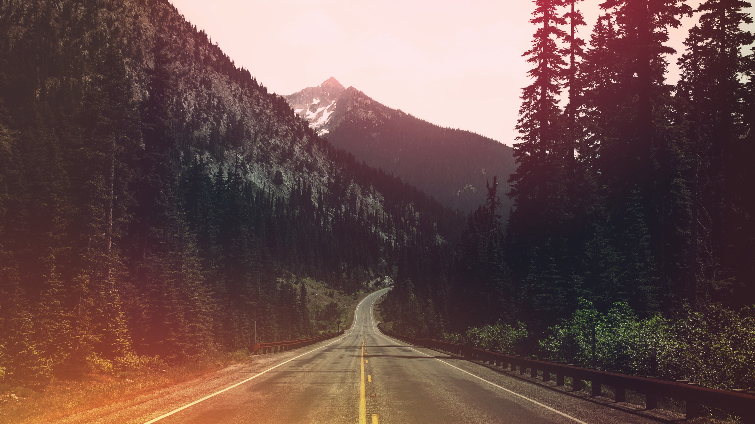 nature, Road, Filter, Lights Wallpapers HD / Desktop and Mobile Backgrounds