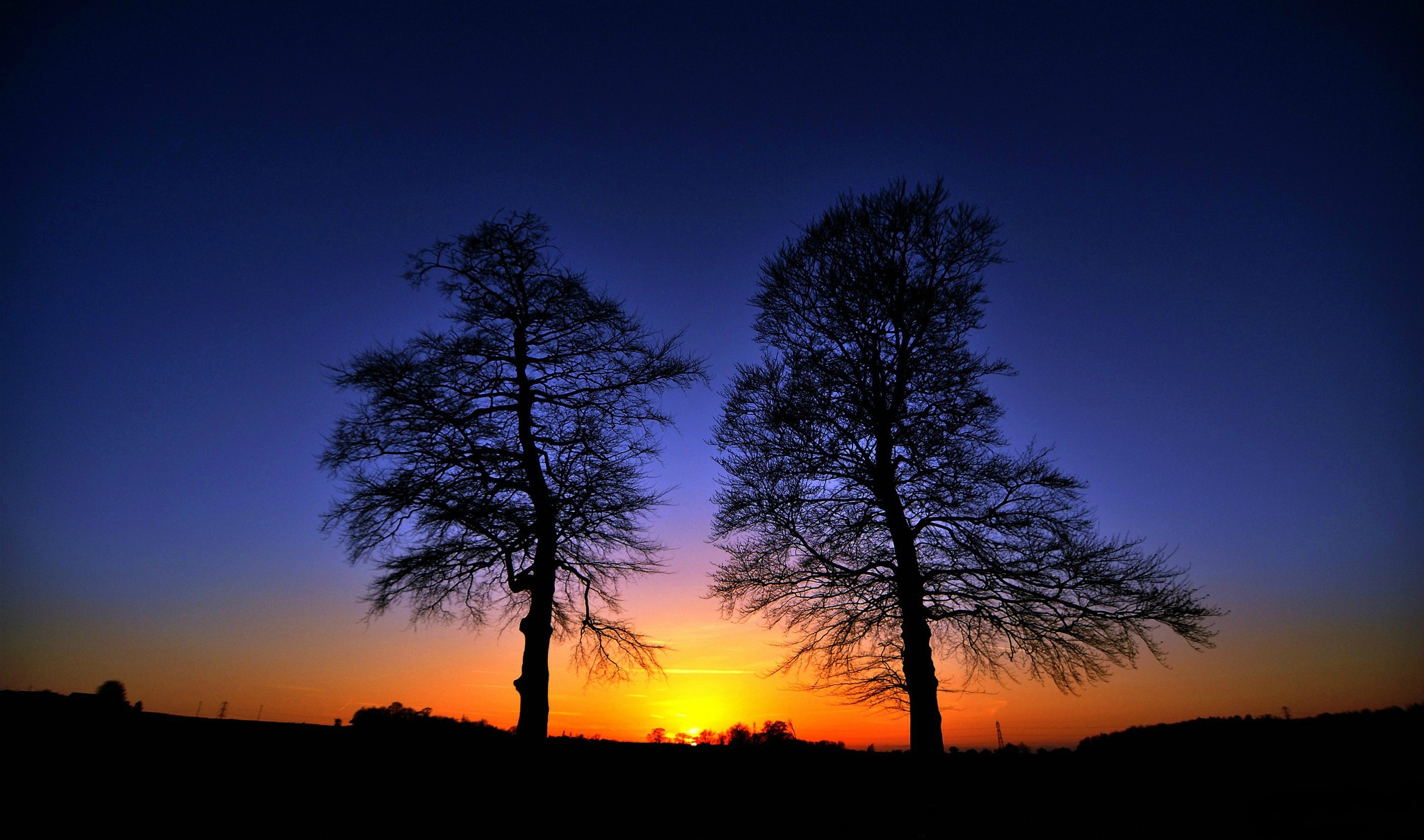 silhouette, Trees, Landscape Wallpapers HD / Desktop and Mobile Backgrounds