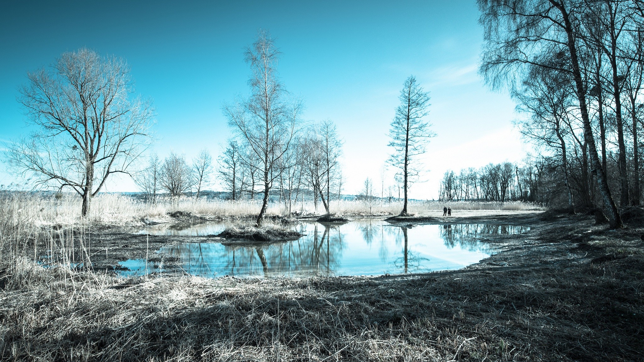 landscape, Nature, Water, Trees Wallpapers HD / Desktop and Mobile ...