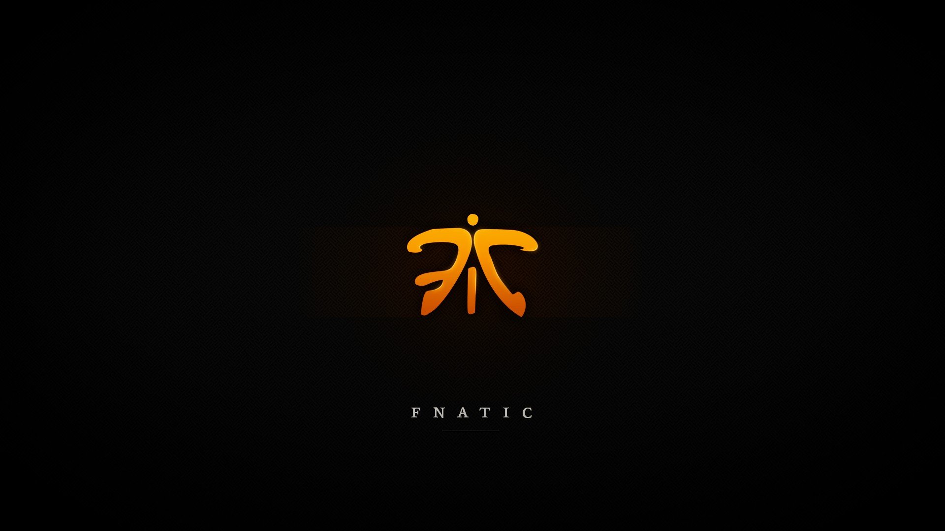 Counter Strike: Global Offensive, Fnatic Wallpapers HD / Desktop and ...