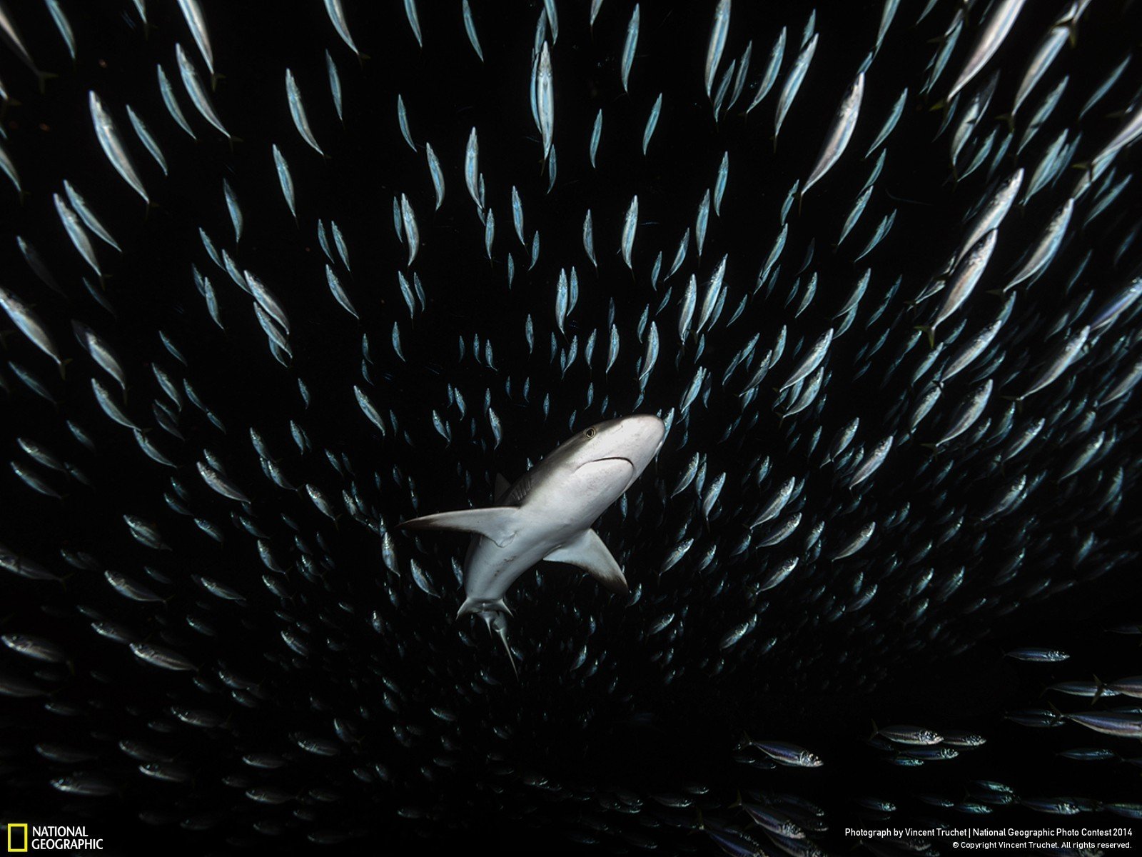 National Geographic Wallpapers HD / Desktop and Mobile Backgrounds