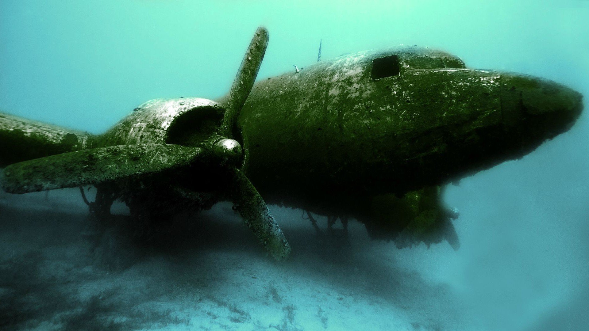 underwater, Wreck, Airplane Wallpapers HD / Desktop and Mobile Backgrounds