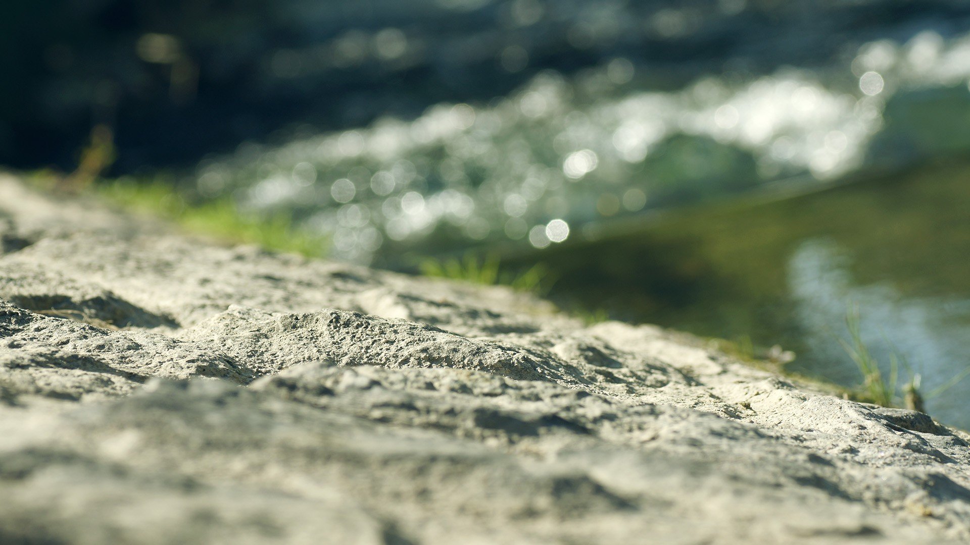 closeup Wallpapers HD / Desktop and Mobile Backgrounds