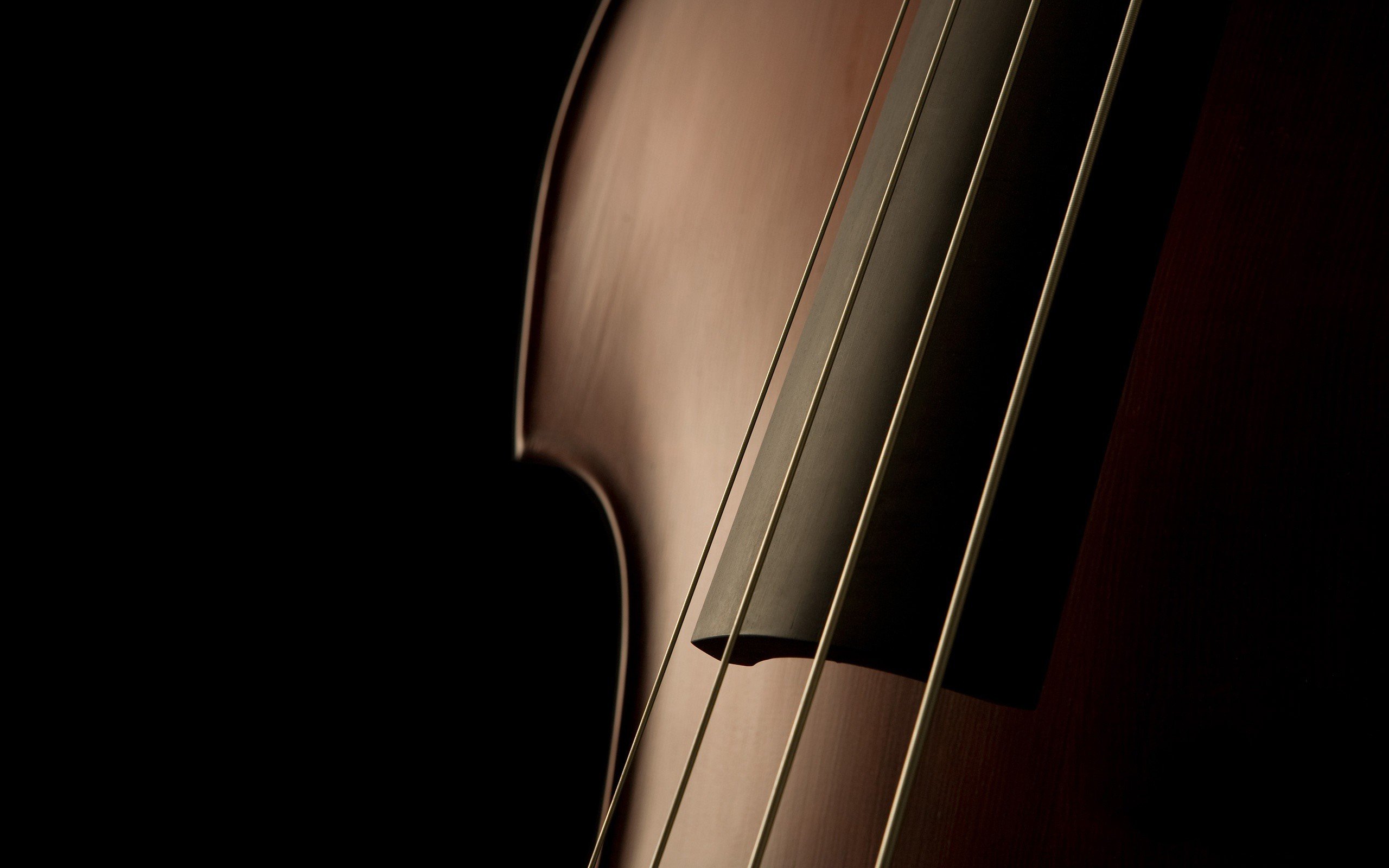 contrabass Wallpapers HD / Desktop and Mobile Backgrounds