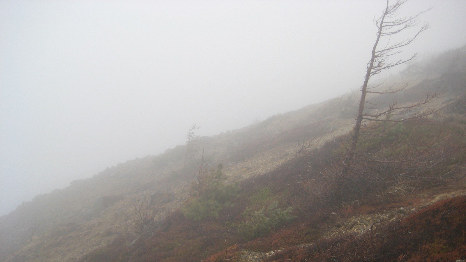 Japan, Volcano, Mist, Mt Shirane, Empty, Desolate, Wind, Nagano ...