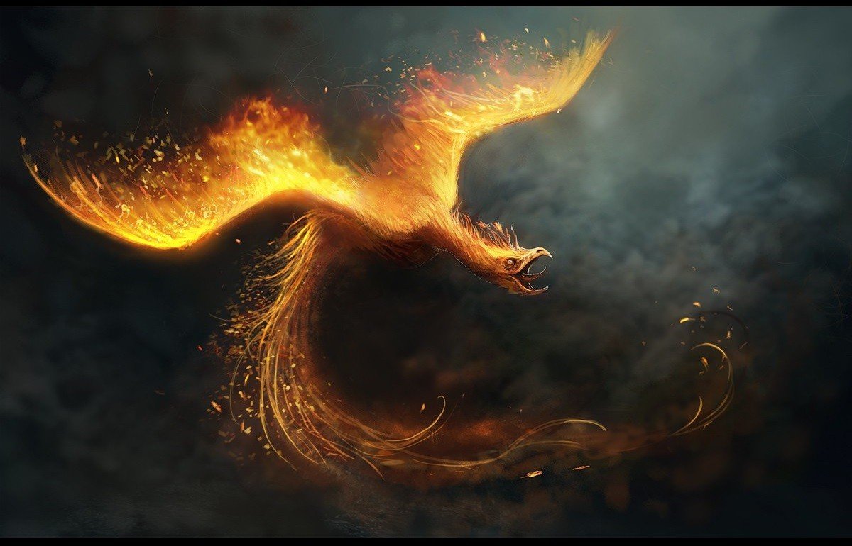 phoenix Wallpapers HD / Desktop and Mobile Backgrounds