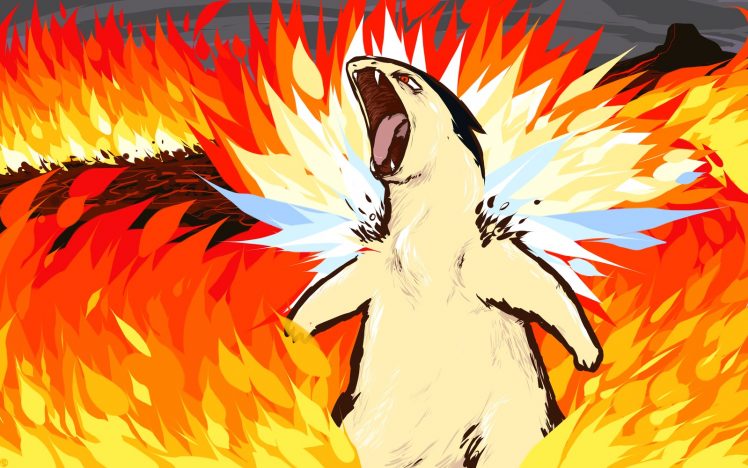 ishmam, Typhlosion, Pokémon Wallpapers HD / Desktop and Mobile Backgrounds