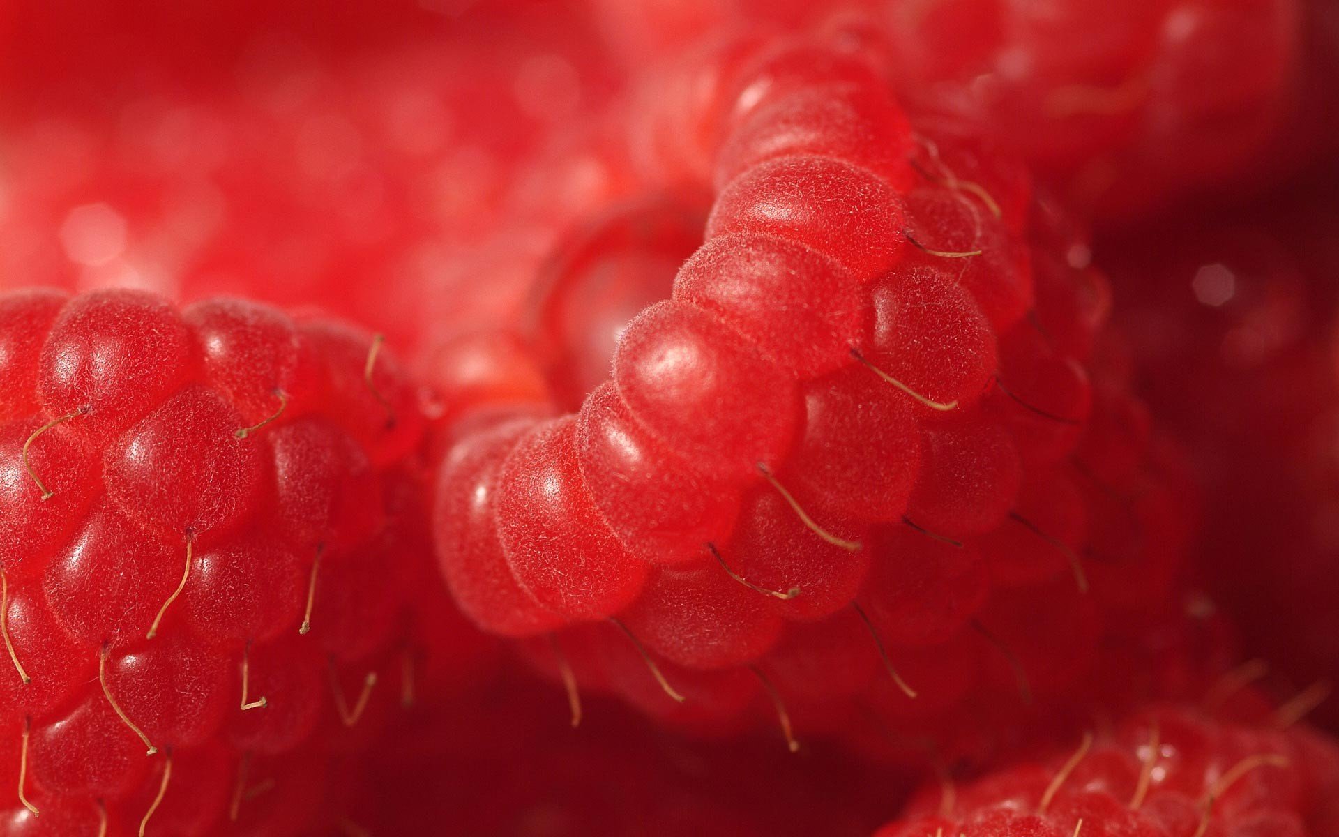 food, Raspberries, Fruit, Macro Wallpapers HD / Desktop and Mobile ...