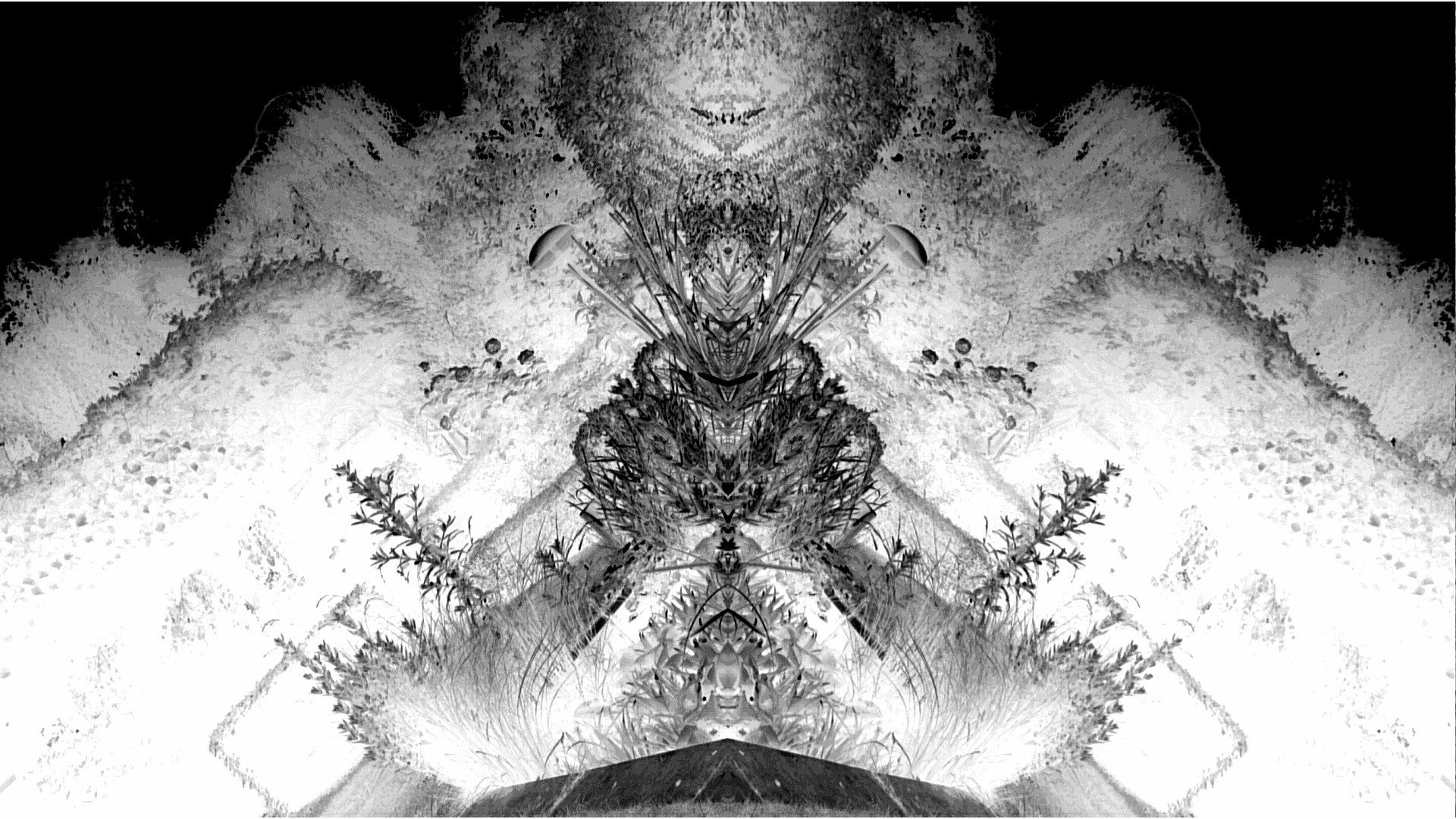 ninjas, Photo manipulation, Photography, Drawing, Illustration ...