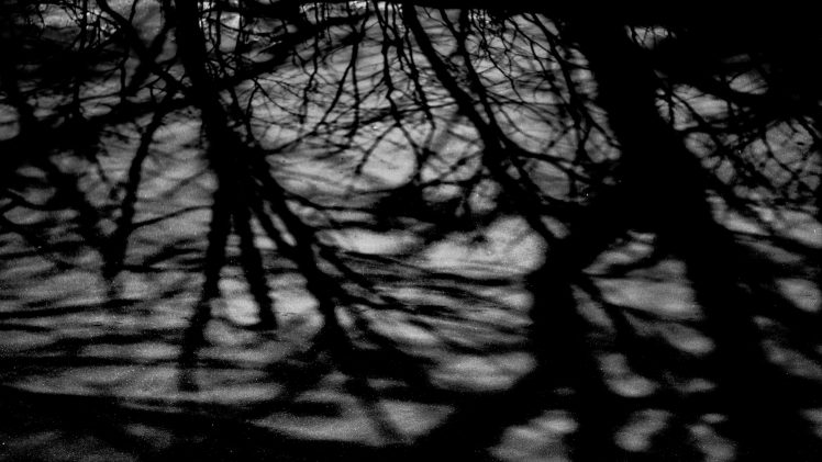 wood, Dark Wallpapers HD / Desktop and Mobile Backgrounds