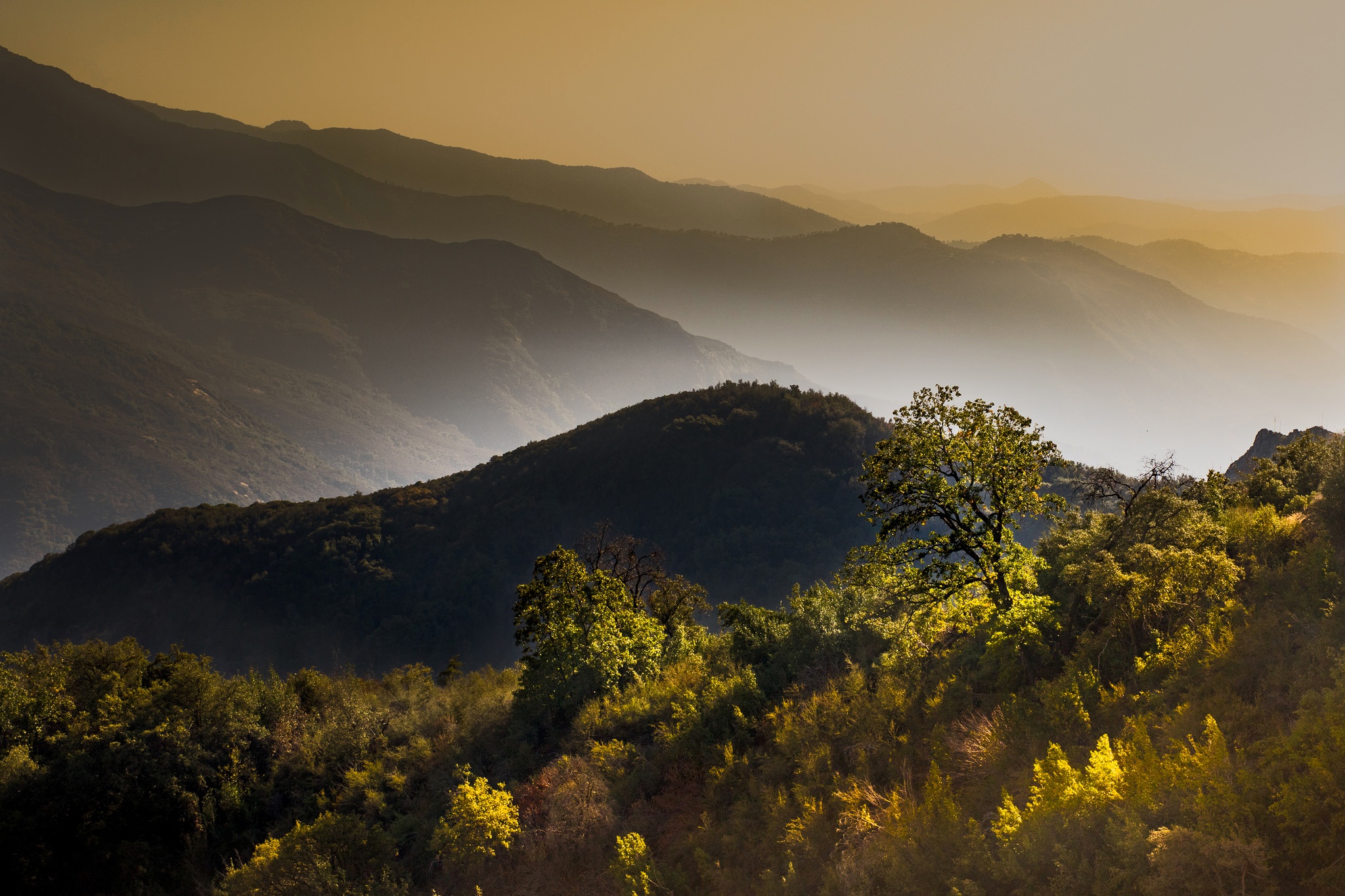 nature, Landscape, Hills, Plants Wallpapers HD / Desktop and Mobile ...