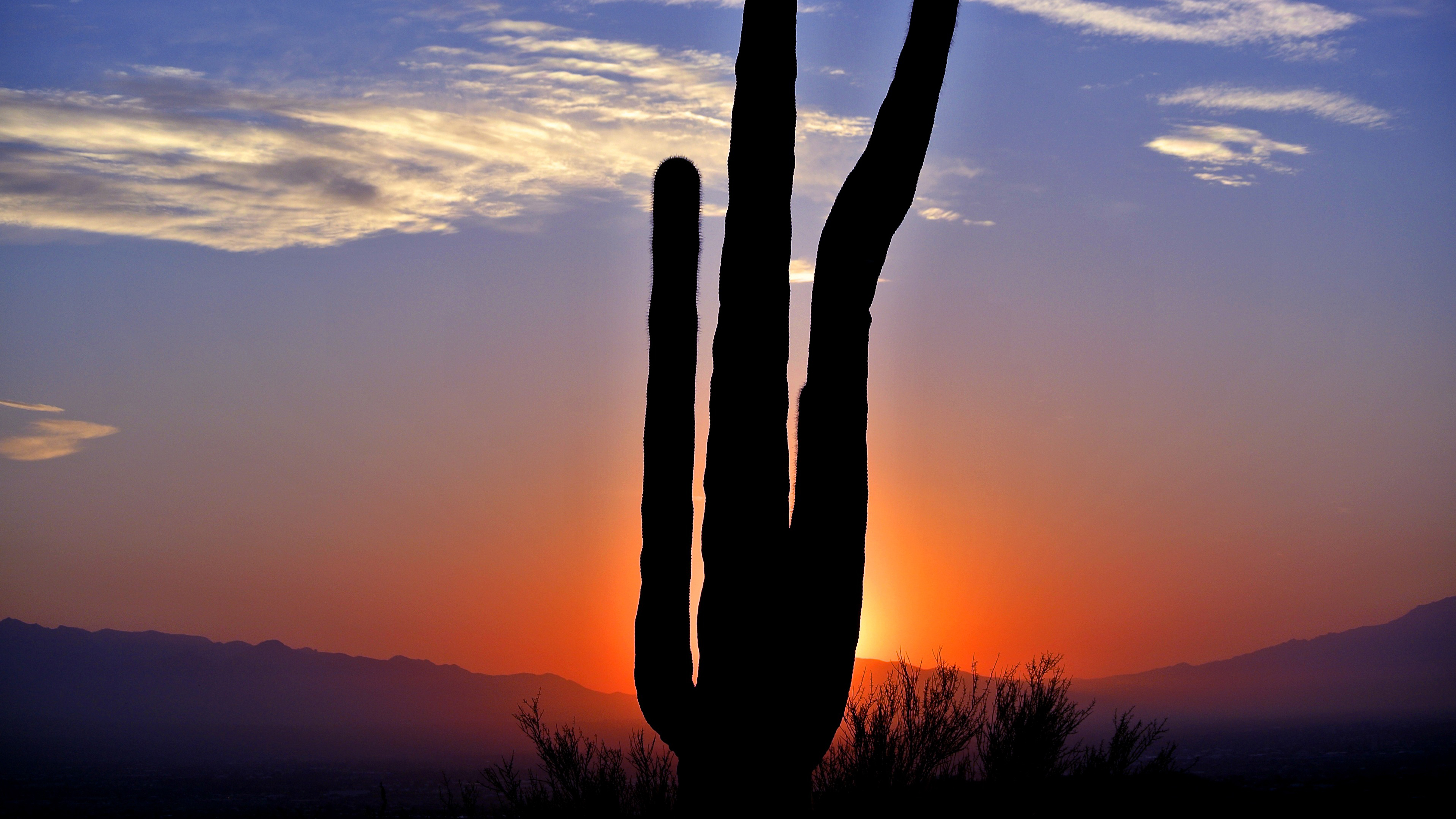 cactus, Landscape, Sunset, Nature Wallpapers HD / Desktop and Mobile ...