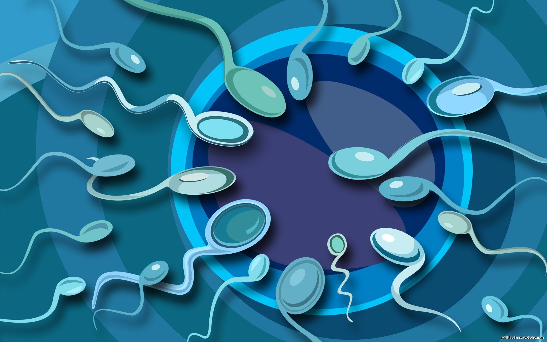 Sperm Abstraction Abstract Bokeh Life Sex Sexual Medical Dna