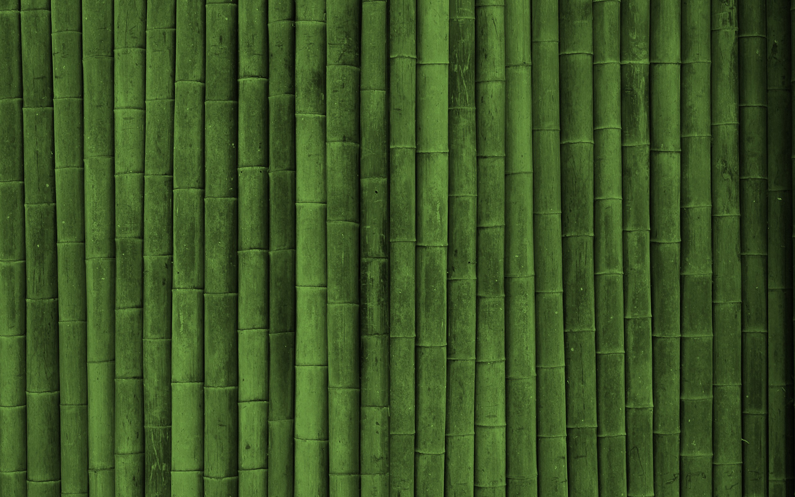 bamboo, Textures Wallpapers HD / Desktop and Mobile Backgrounds