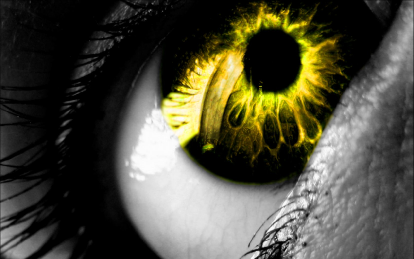 abstract, Eyes Wallpapers HD / Desktop and Mobile Backgrounds