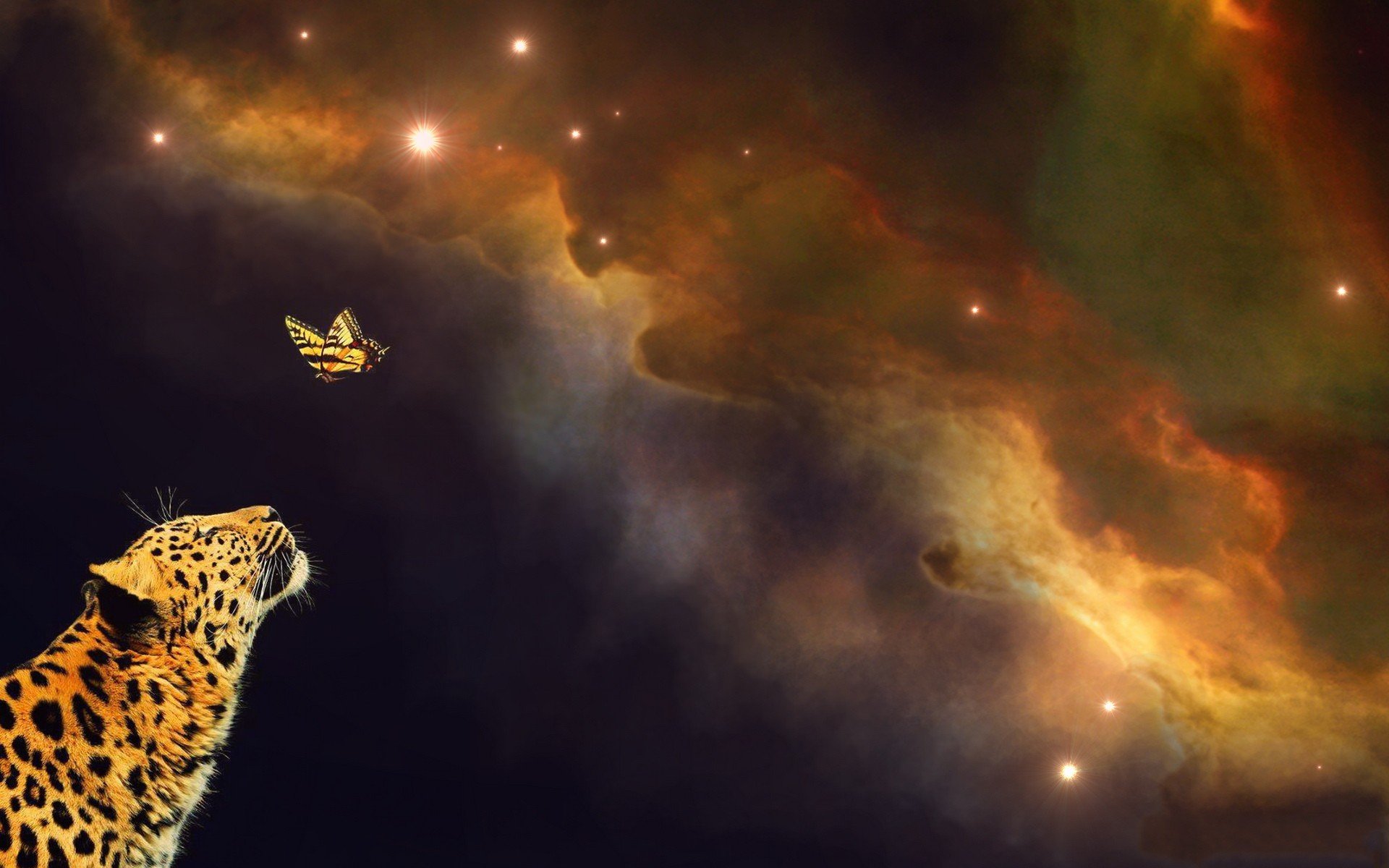 photo, Manipulation Wallpapers HD / Desktop and Mobile Backgrounds