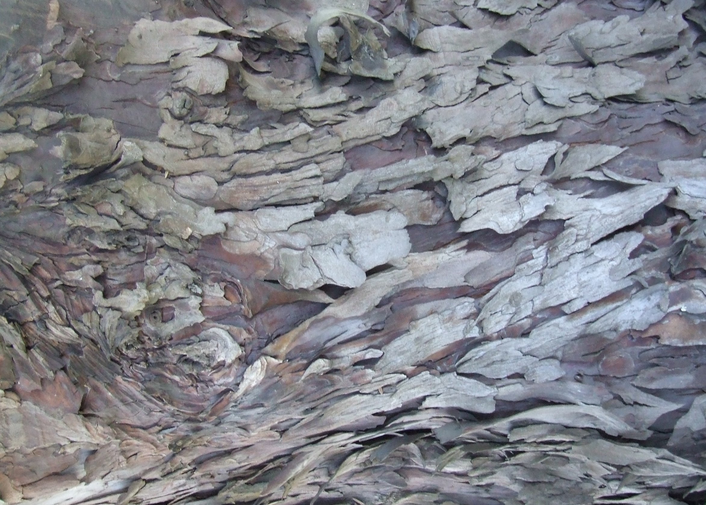 art, Colors, Creation, Digital, Materiaux, Nature, Texture, Webmaster ...