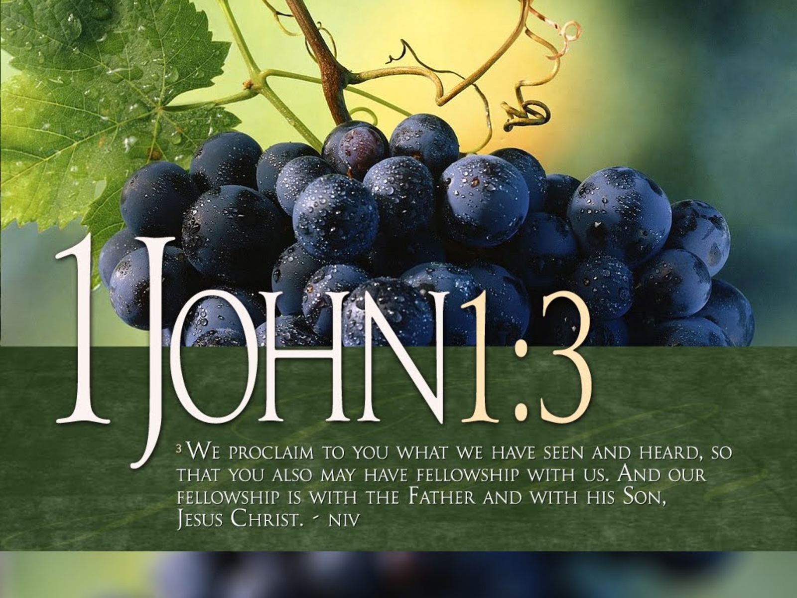 Religion Bible Verses Quote Text Poster Bible Verses Wallpapers