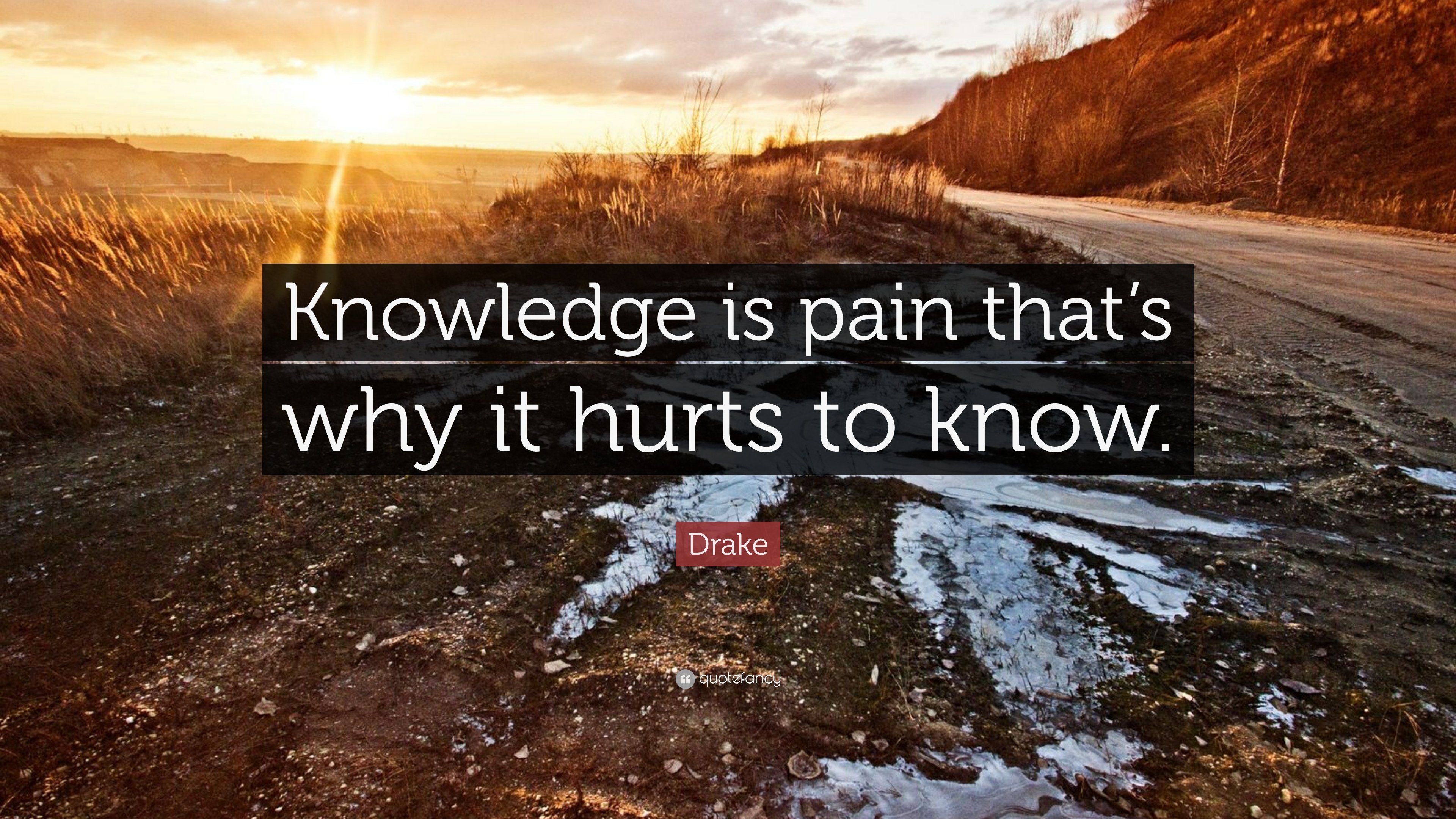 Quotes Typography Text Quote Motivational Inspirational Wallpapers 