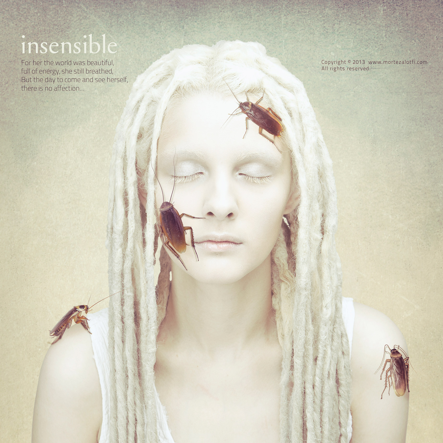 insensible Wallpapers HD / Desktop and Mobile Backgrounds