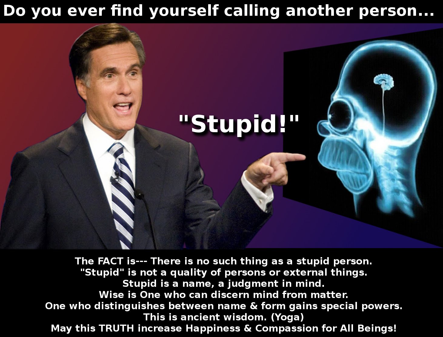 stupid, Humor, Funny, Sadic Wallpapers HD / Desktop and Mobile Backgrounds