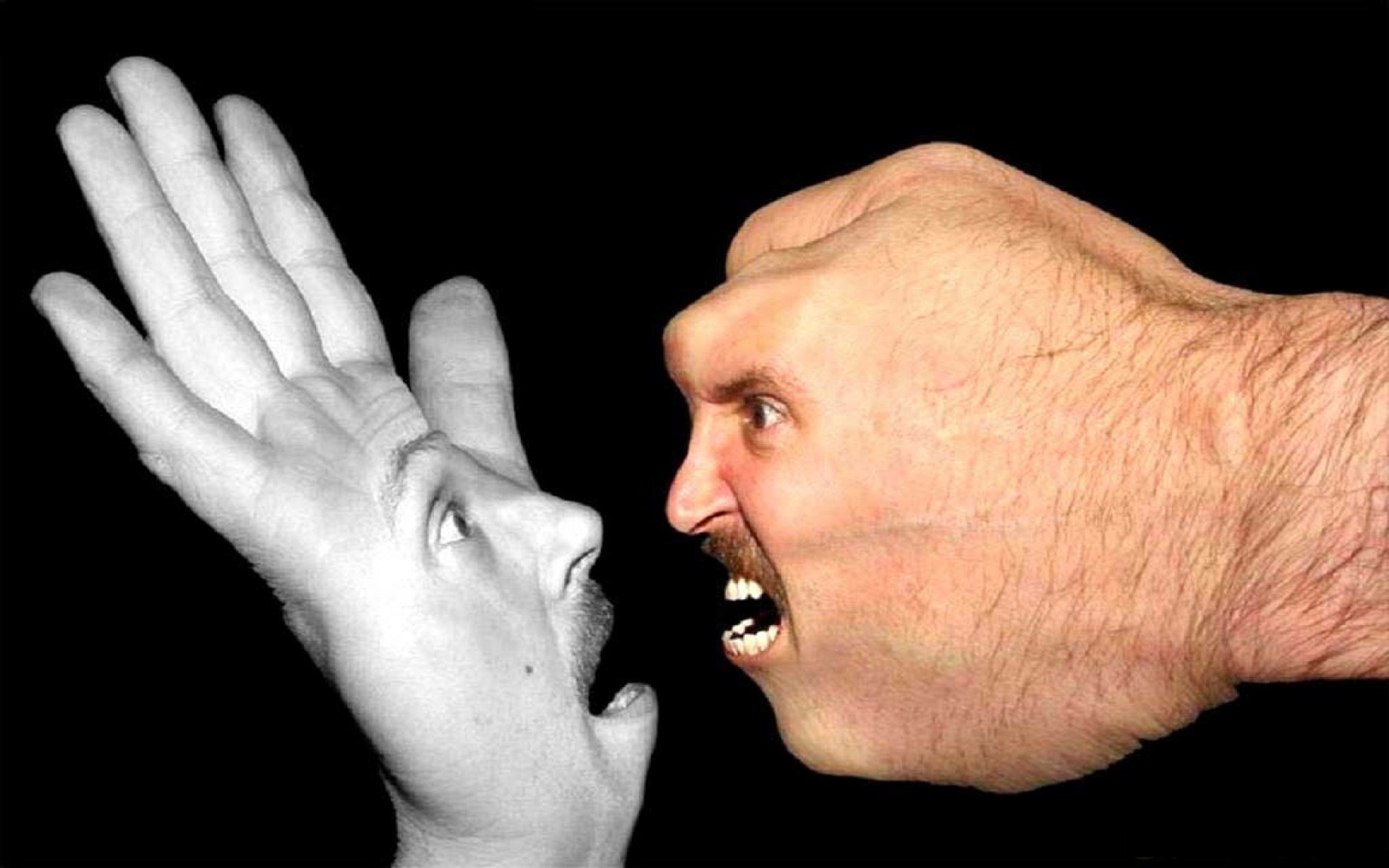 humor, Funny Wallpapers HD / Desktop and Mobile Backgrounds