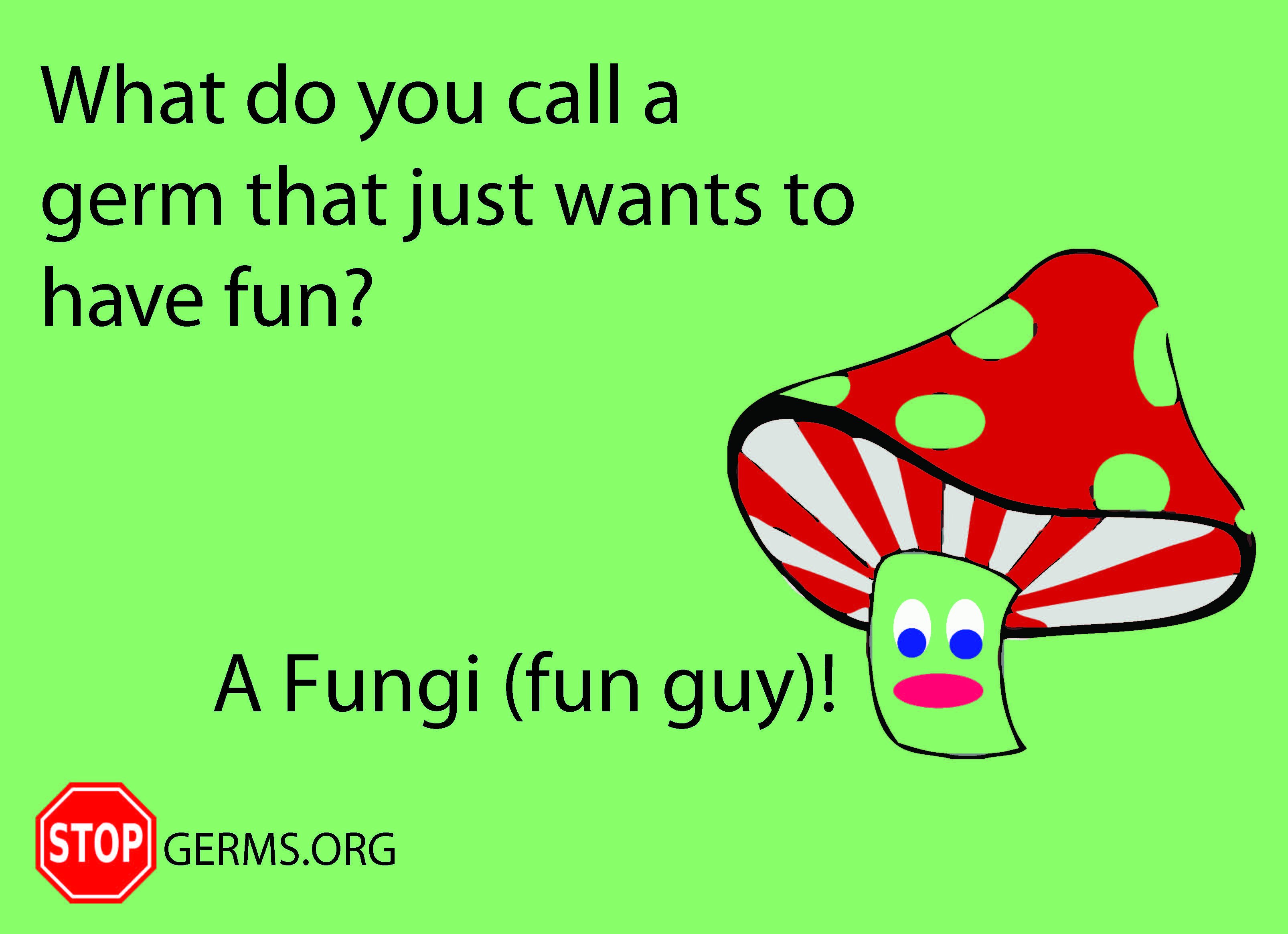 humor, Funny Wallpapers HD / Desktop and Mobile Backgrounds