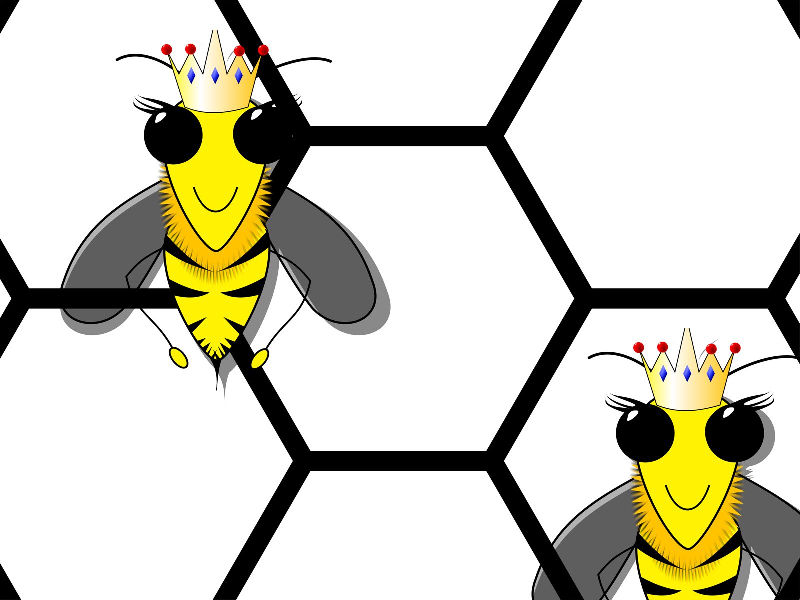 bee, Insect, Bees Wallpapers HD / Desktop and Mobile Backgrounds